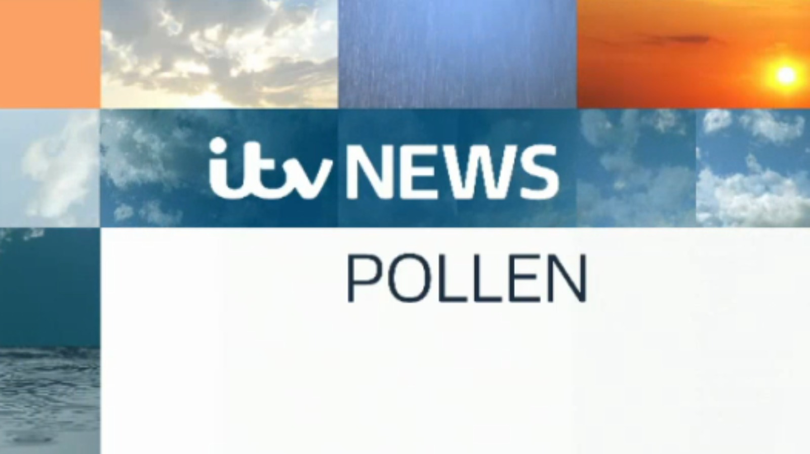 Latest Pollen Forecast | ITV News Meridian