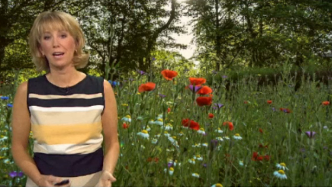 The latest pollen forecast for the start of the new week | ITV News Granada
