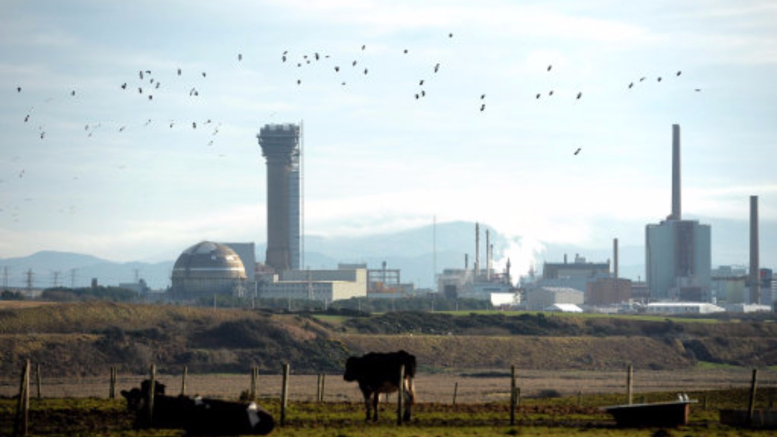 Radiation checkers at Sellafield are on strike today | ITV News Border