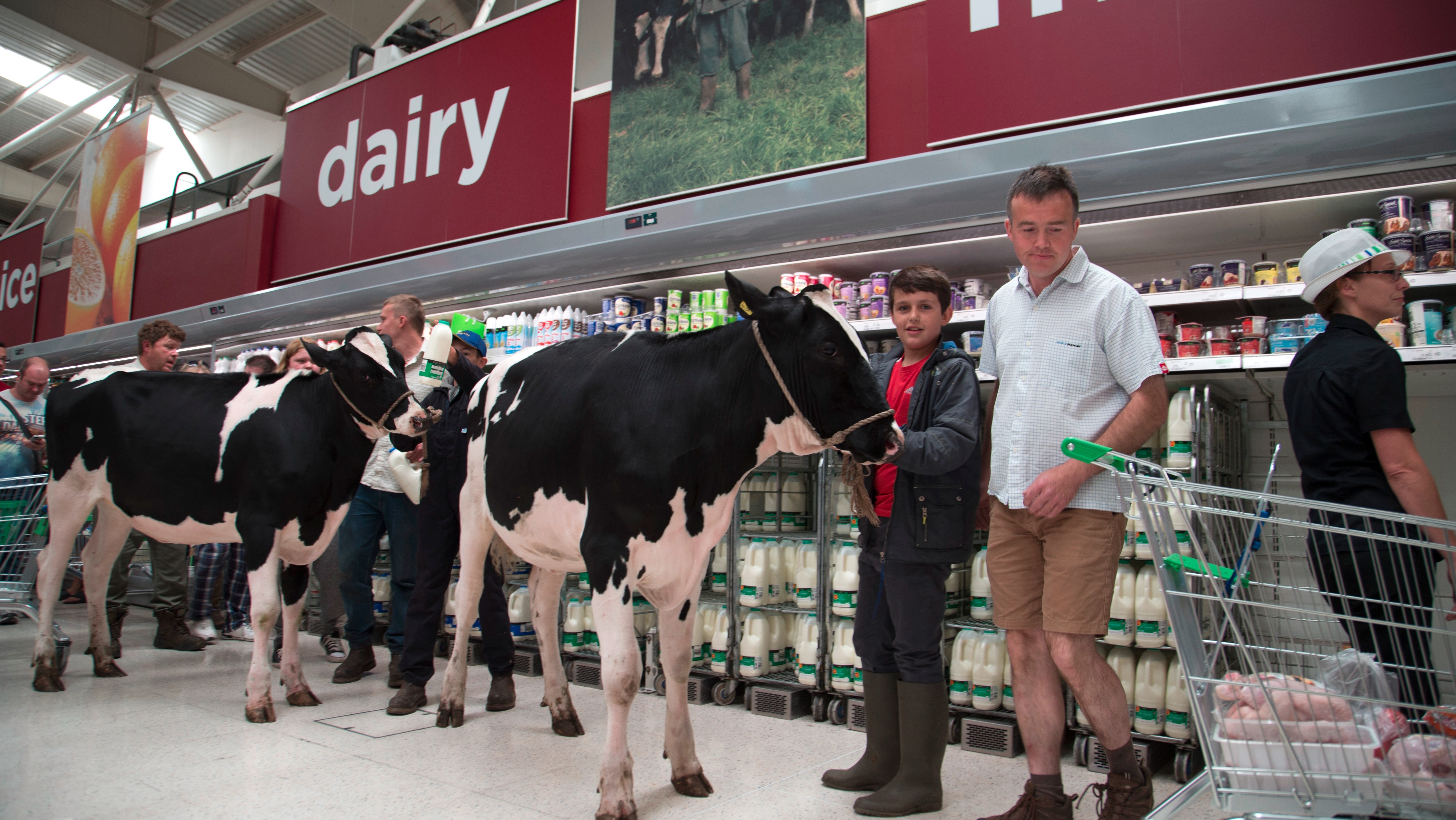 Police called after live cows taken into Asda superstore | ITV News Central