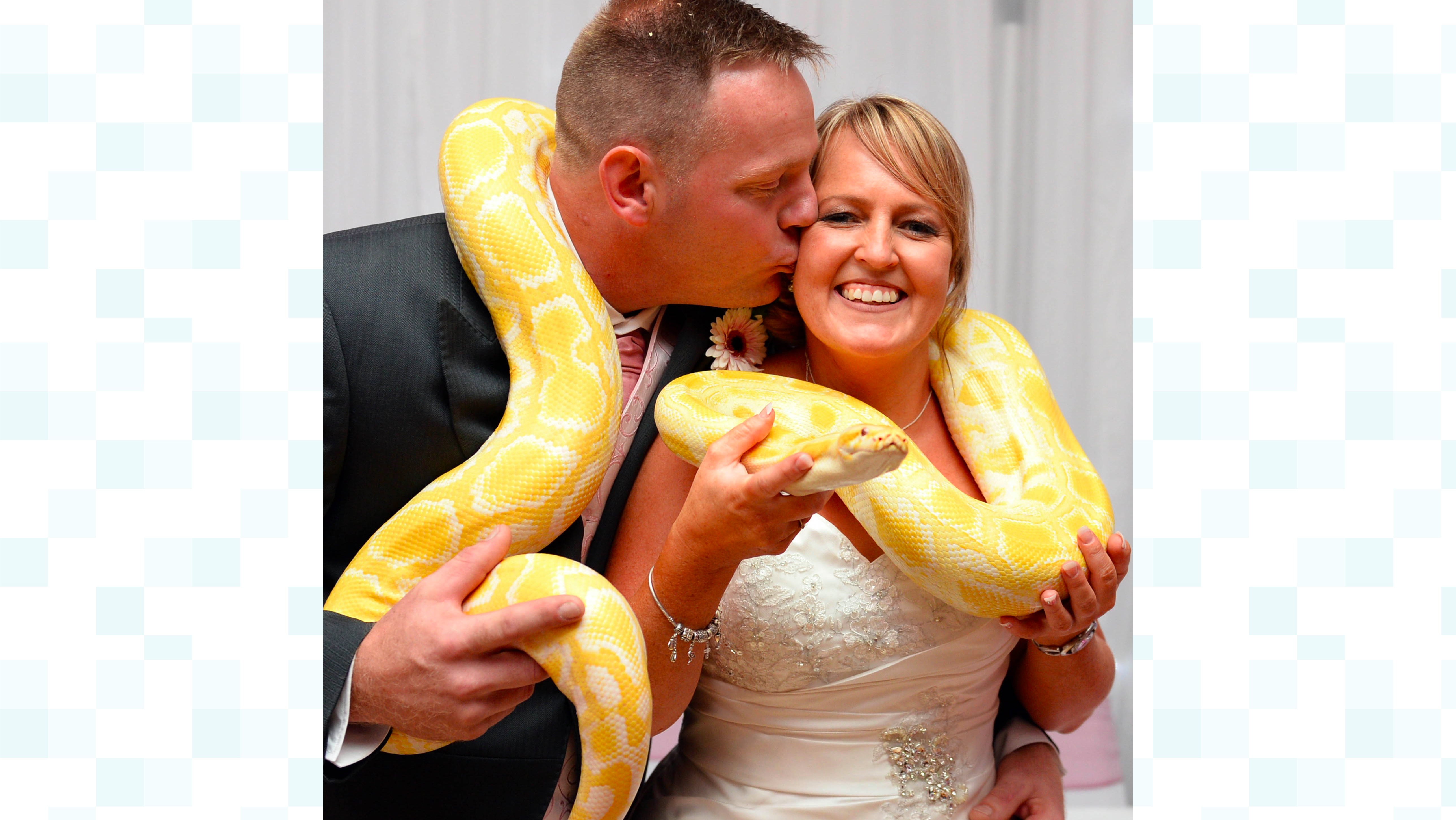 Bride and Groom invite 30 wild animals to their wedding | ITV News Central