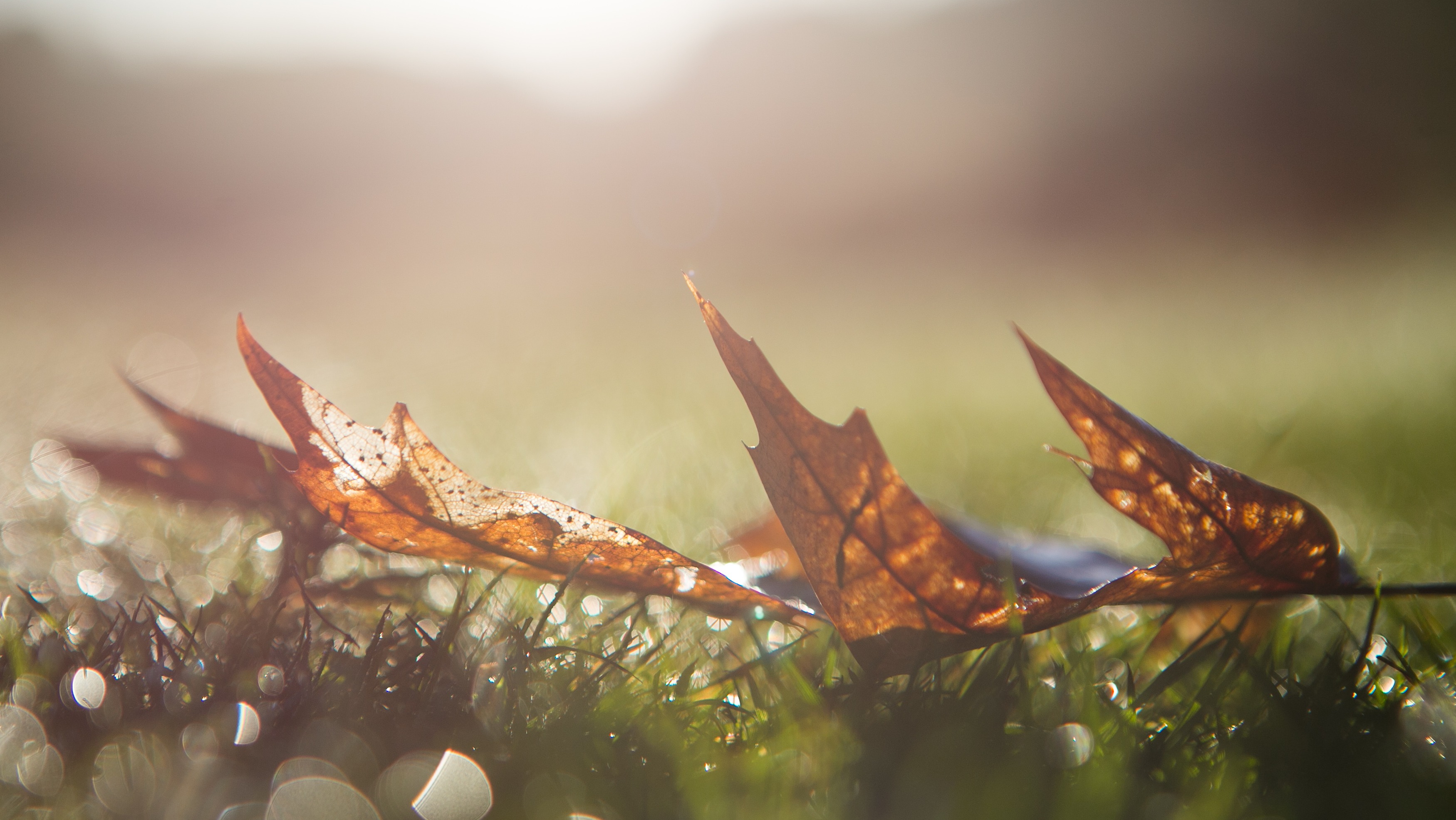 It's time for the days to get a little shorter and the nights longer ...