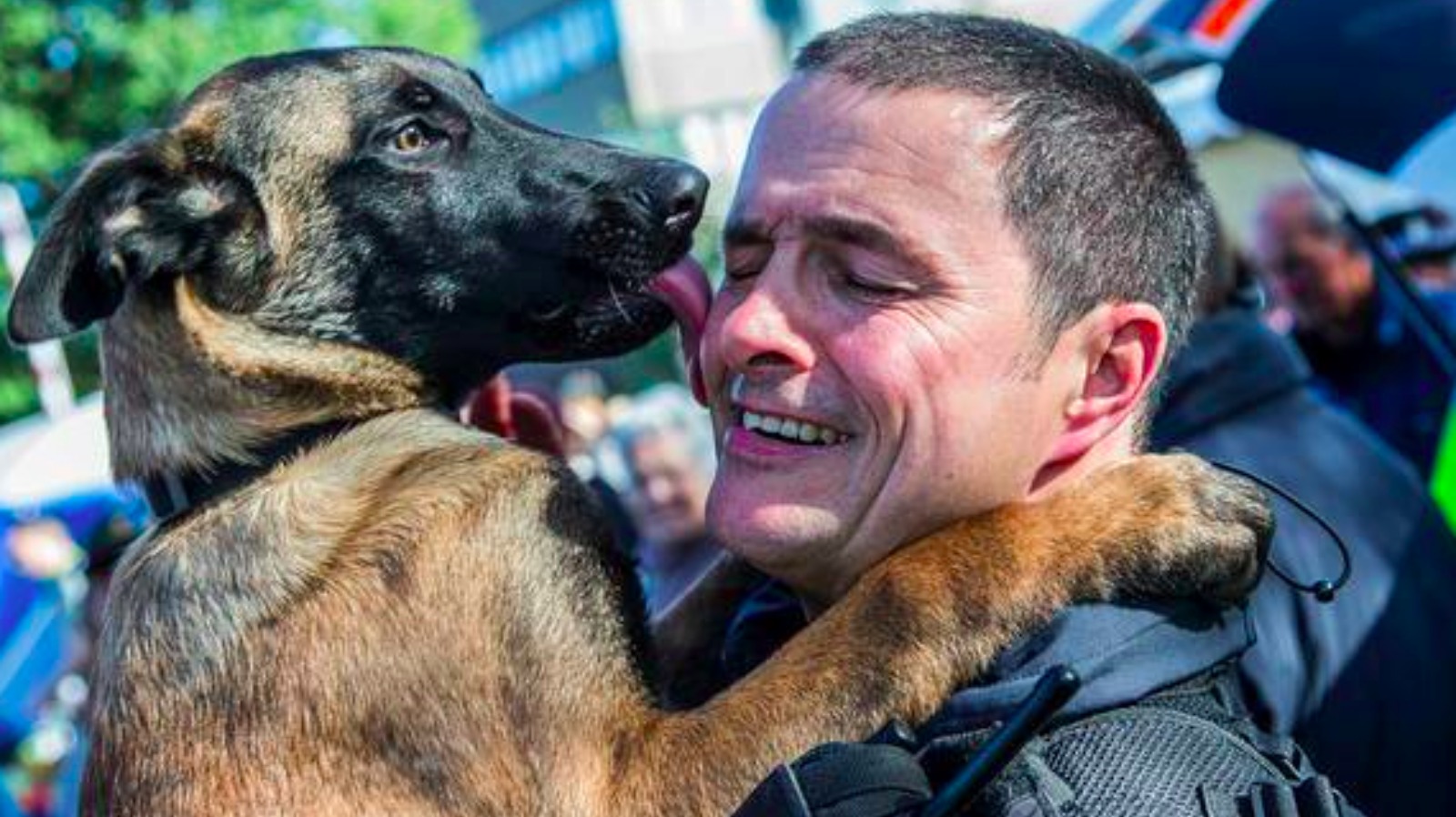 Support fund set up for retired Welsh police dogs | ITV News Wales