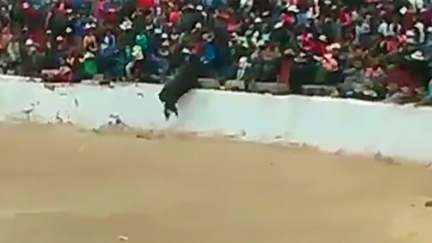Crowd sent running for safety after bull jumps over ringside barriers ...