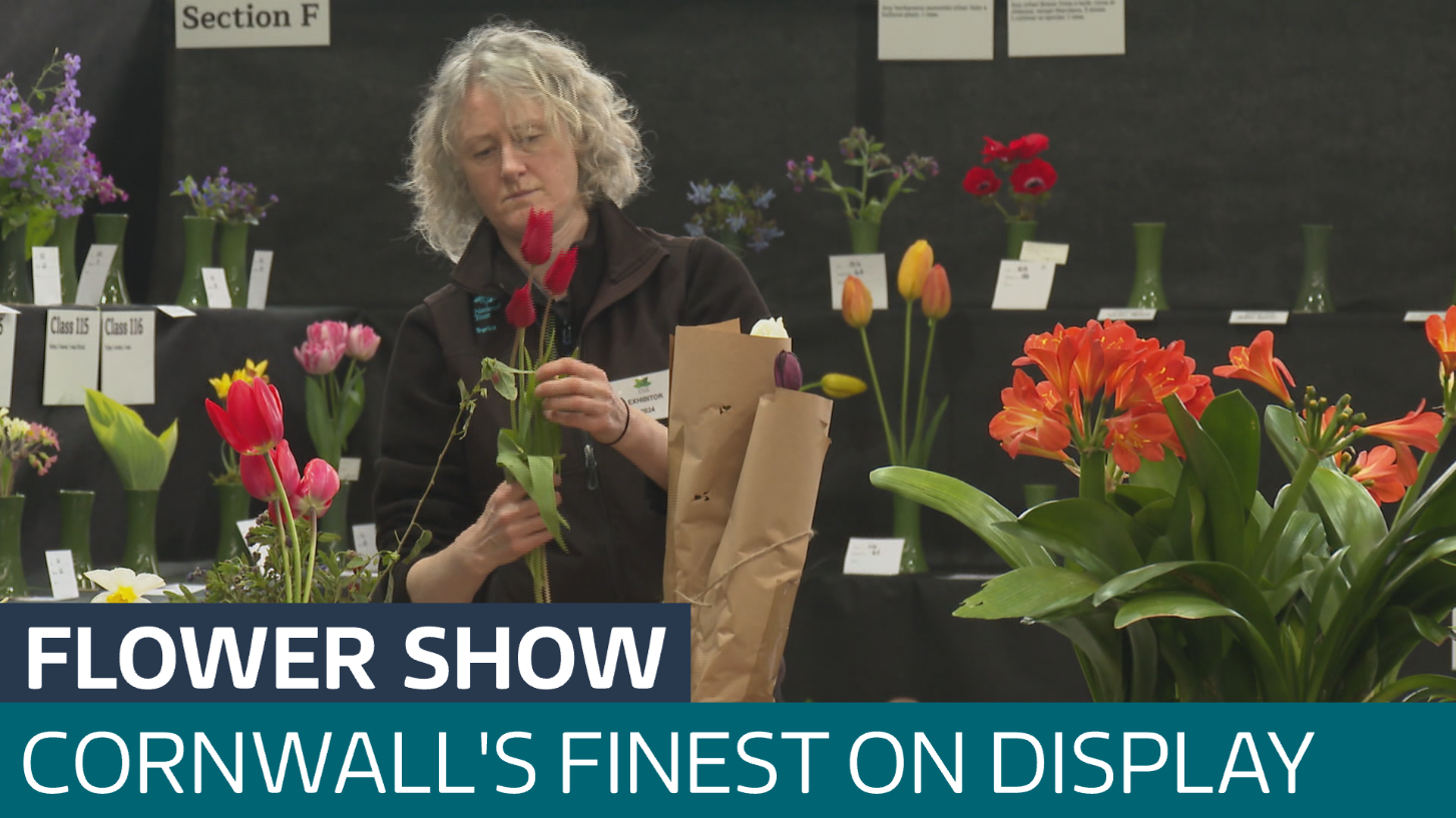 Royal Cornwall Showground hosts spring flower show - Latest From ITV News