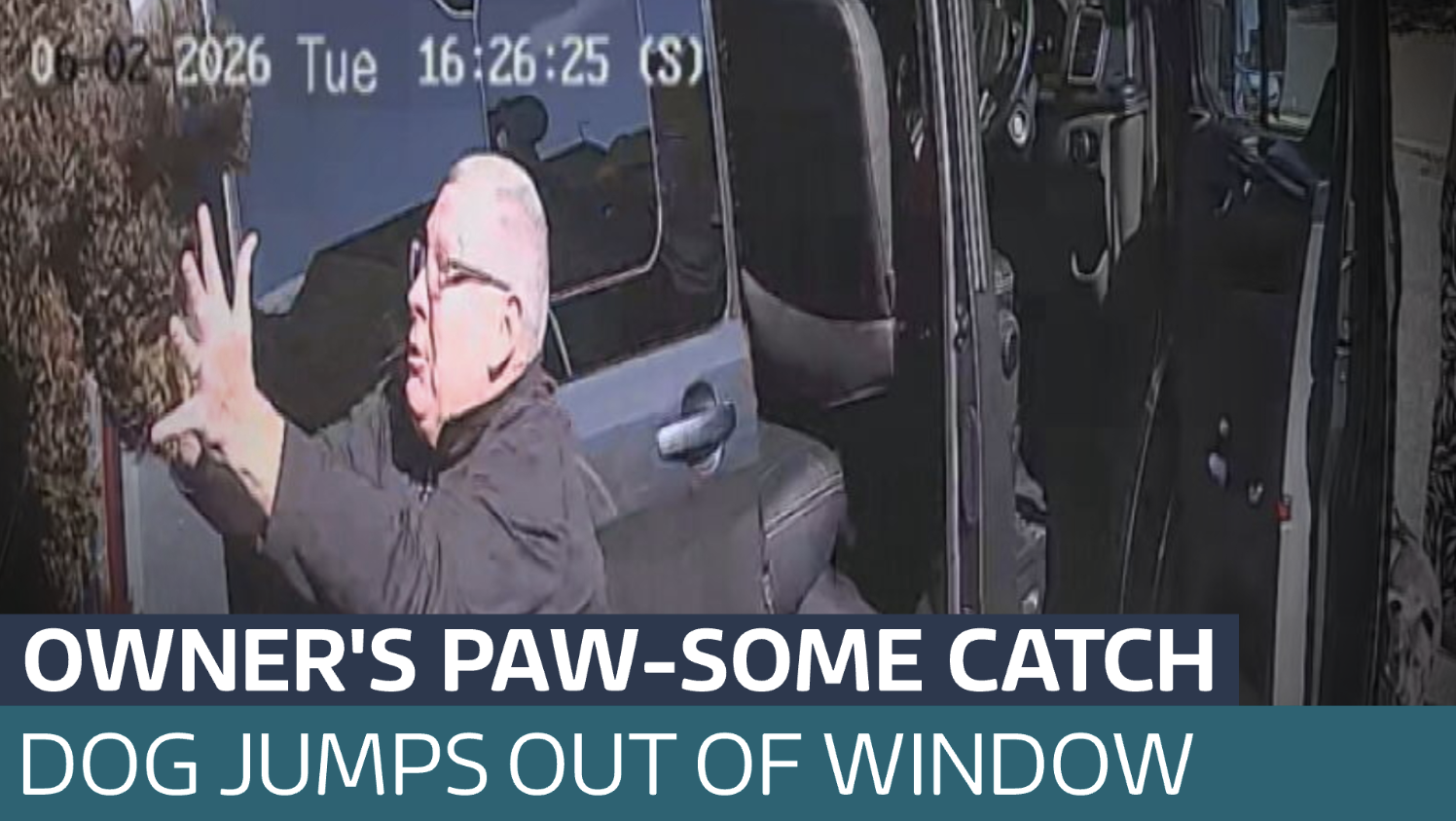Owner saves dog after it jumps from second-story window - Latest From ...