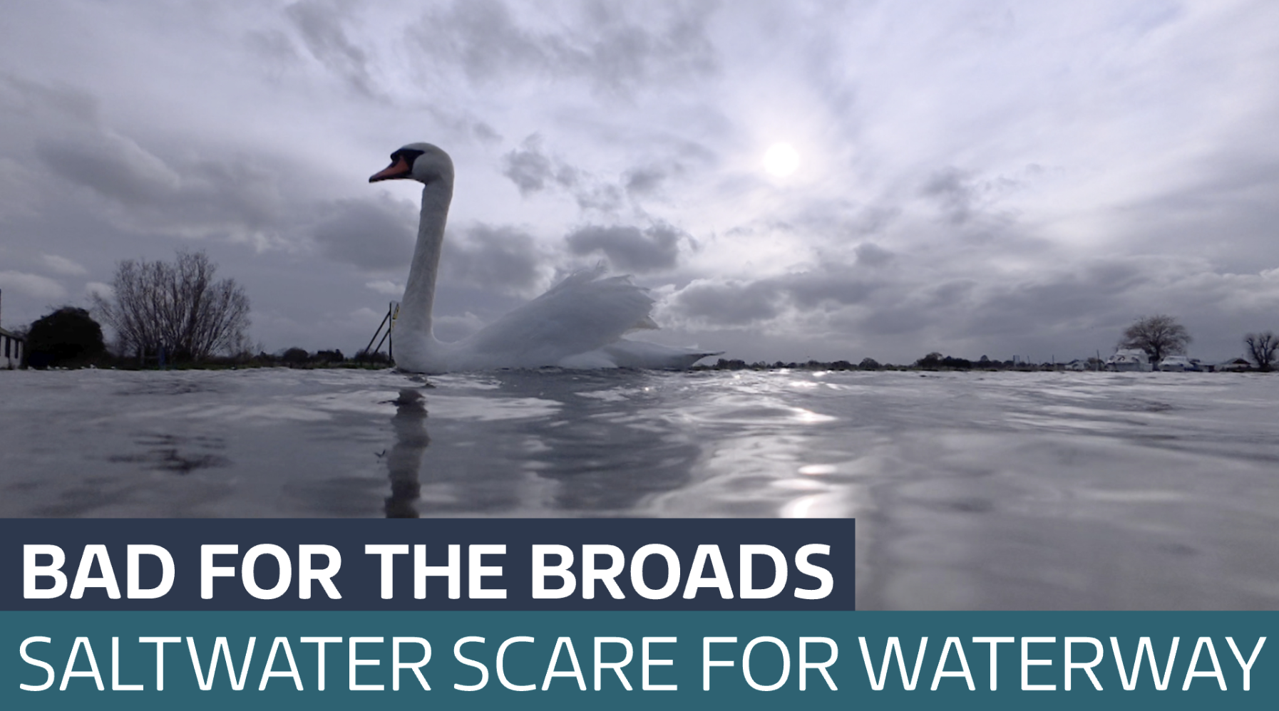 The Norfolk Broads has hit by a lethal surge of salt water, causing the ...