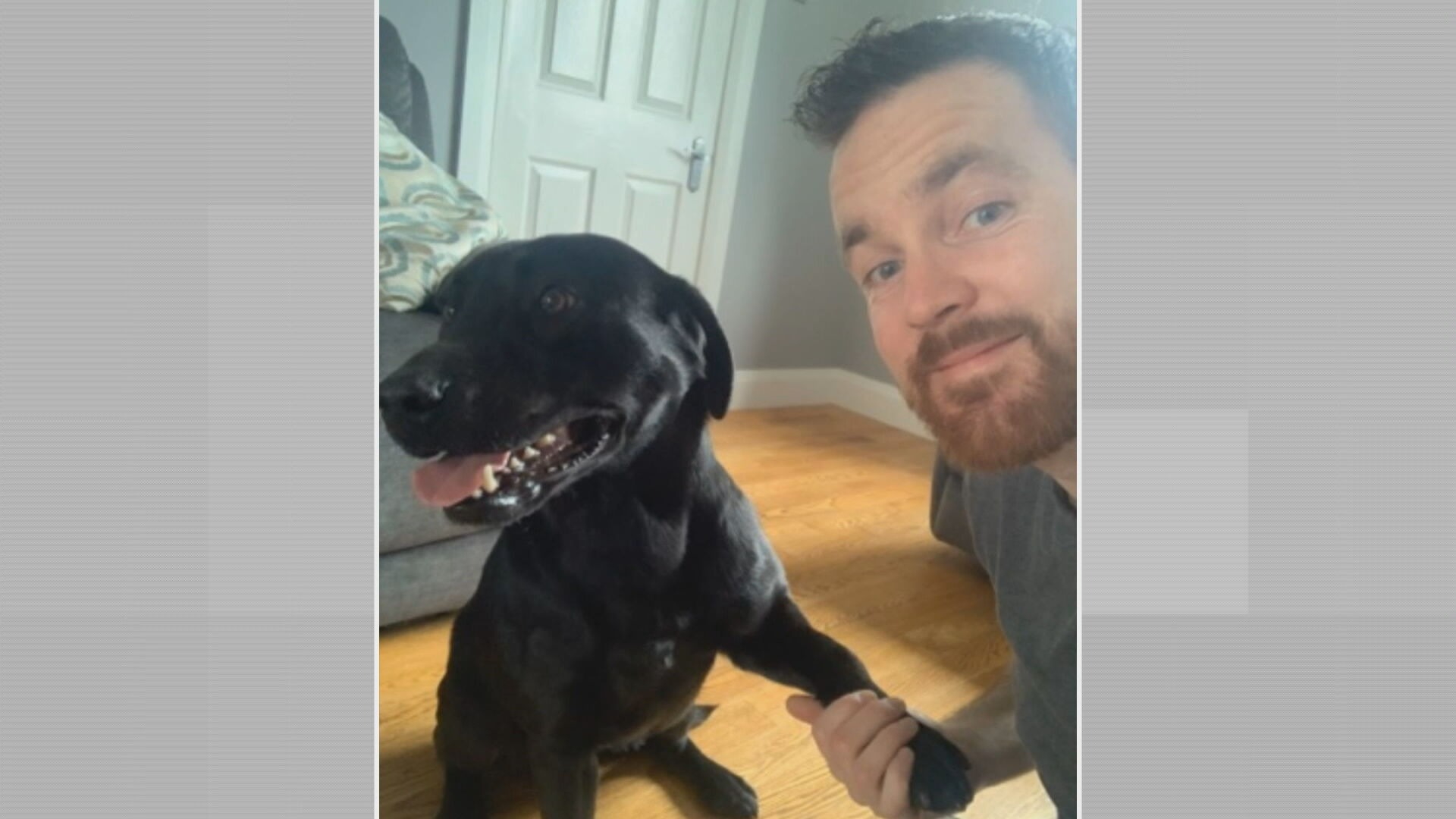 Family plea for information after dog shot in head from point blank ...