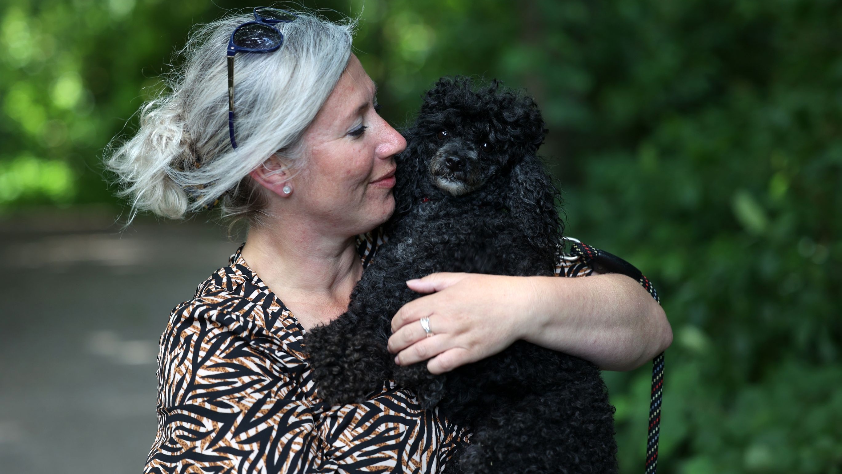 'Miracle' as poodle is reunited with owner after going missing for 2 ...