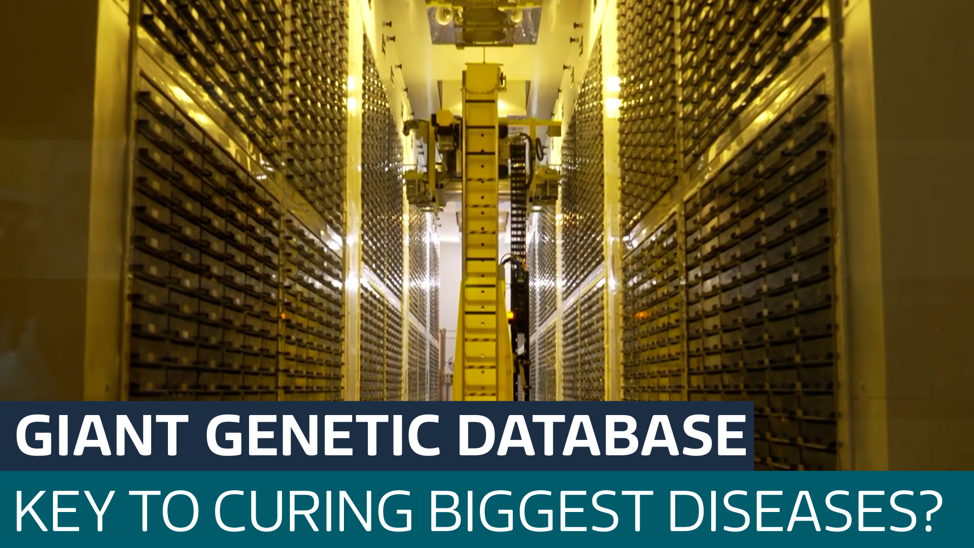 Largest ever bank of human genetic information made available for ...