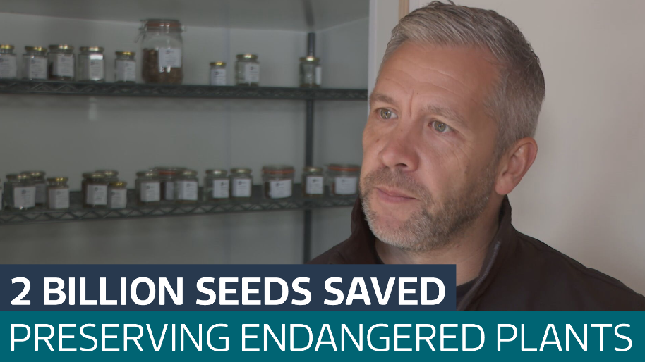 Sowing the seed: how 25 years of work save billions of rare and ...