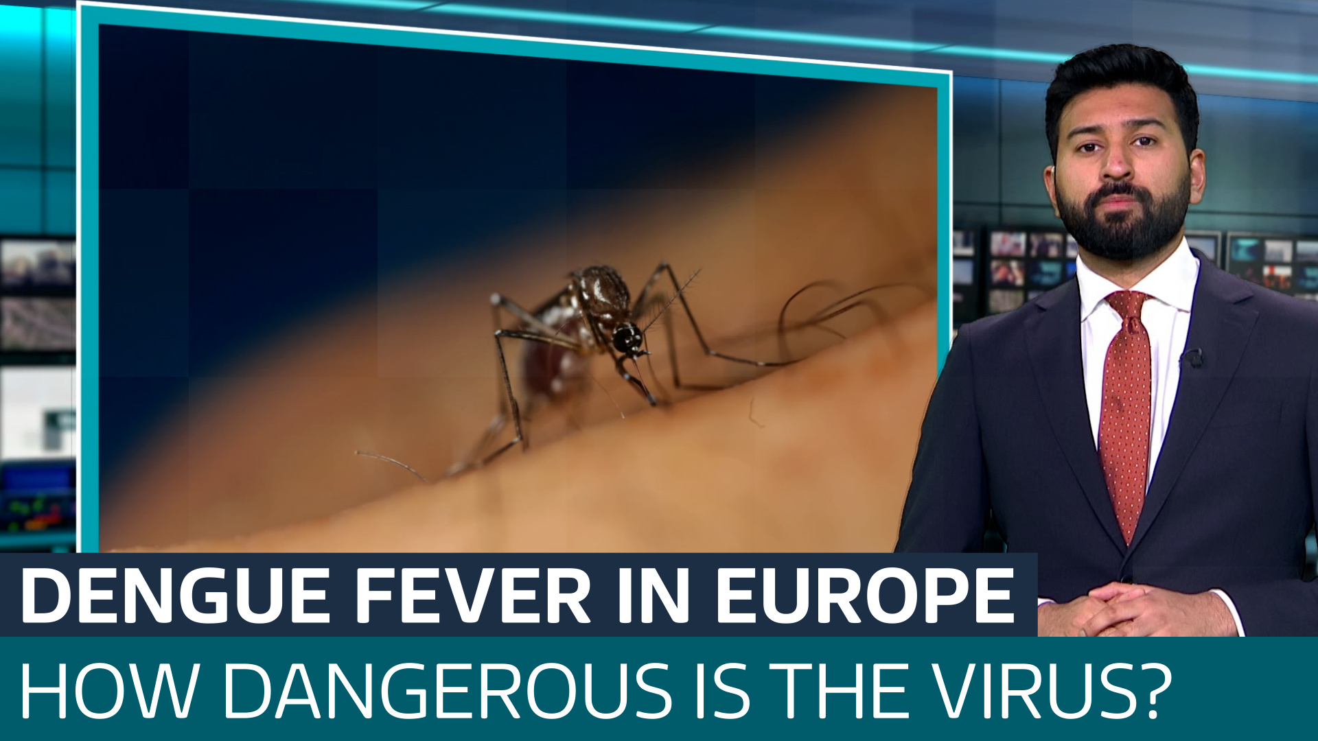 Why are cases of Dengue fever rising in Europe, and are you at risk ...