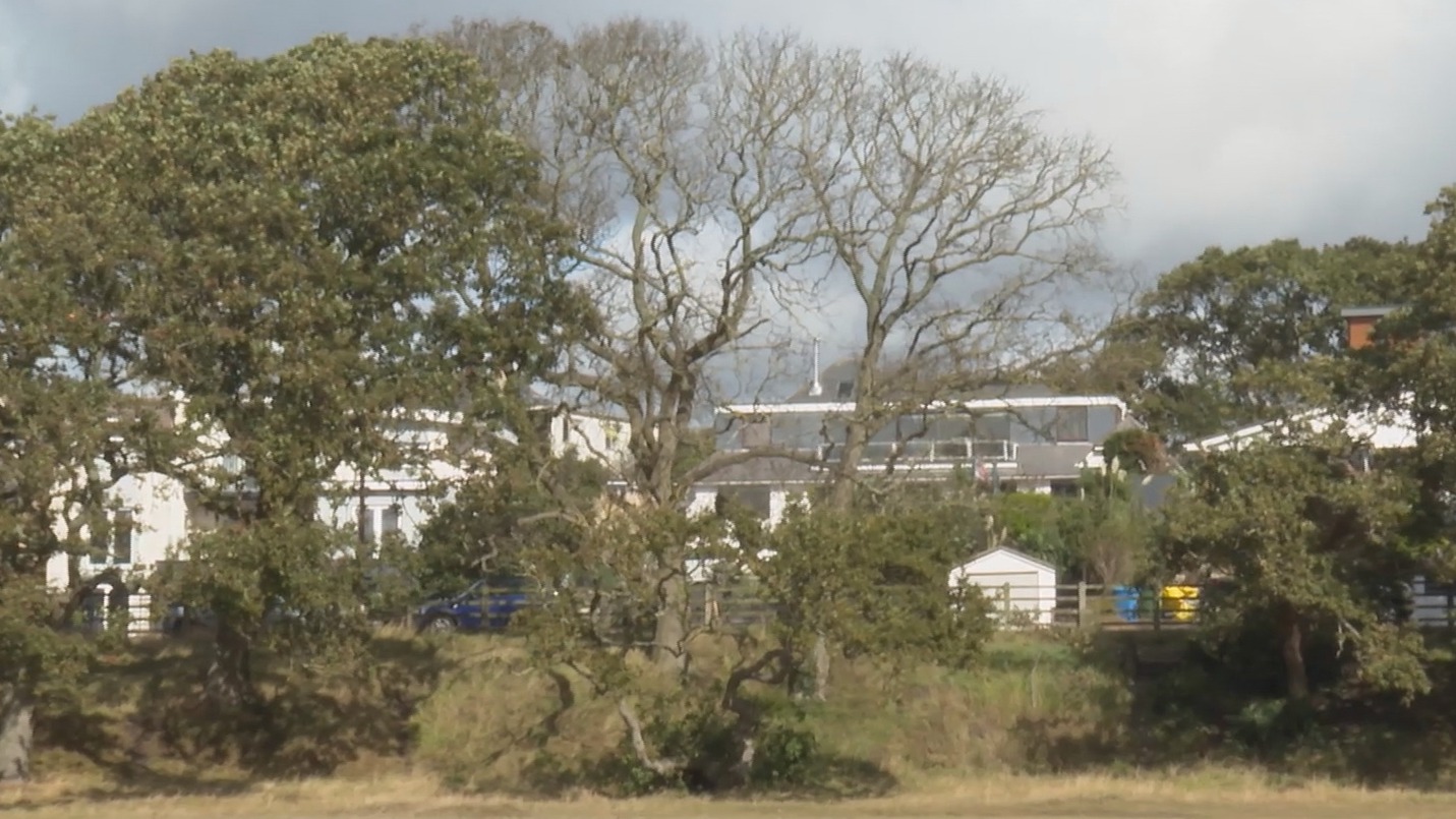 Police probe after trees in Poole 'poisoned to improve view' | ITV News ...
