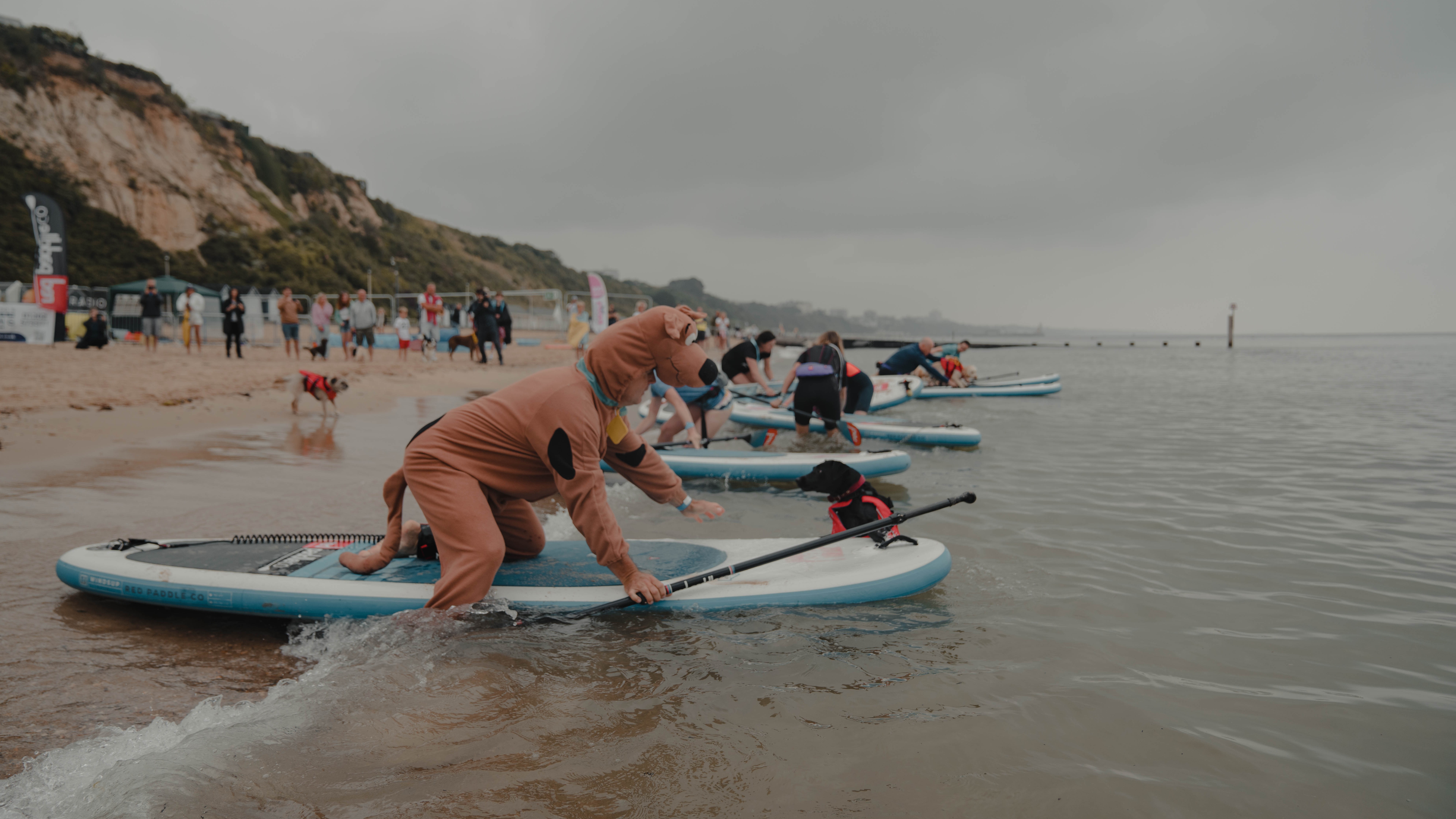 Dogs and their owners take to the sea in Dorset annual surfing ...