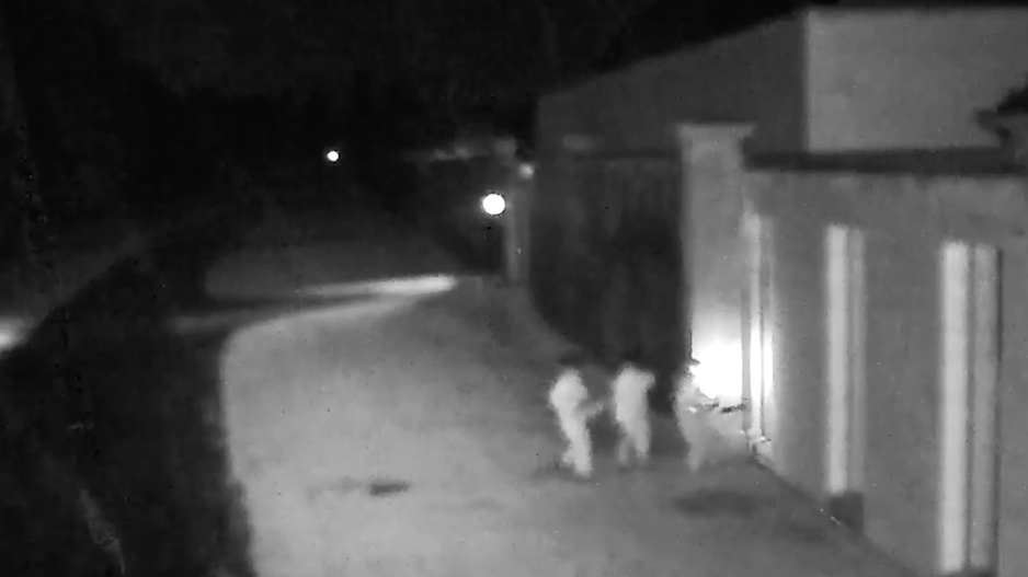 Moment thieves steal 'national treasure' tiara as culprits convicted in ...