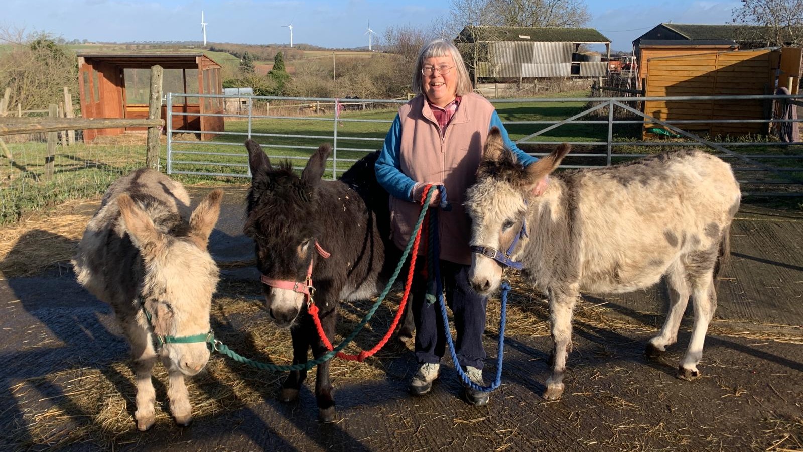 Wiltshire farmer 'astonished' to receive MBE for work with young people ...