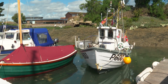 Public being urged to support local fishing businesses in the South ...