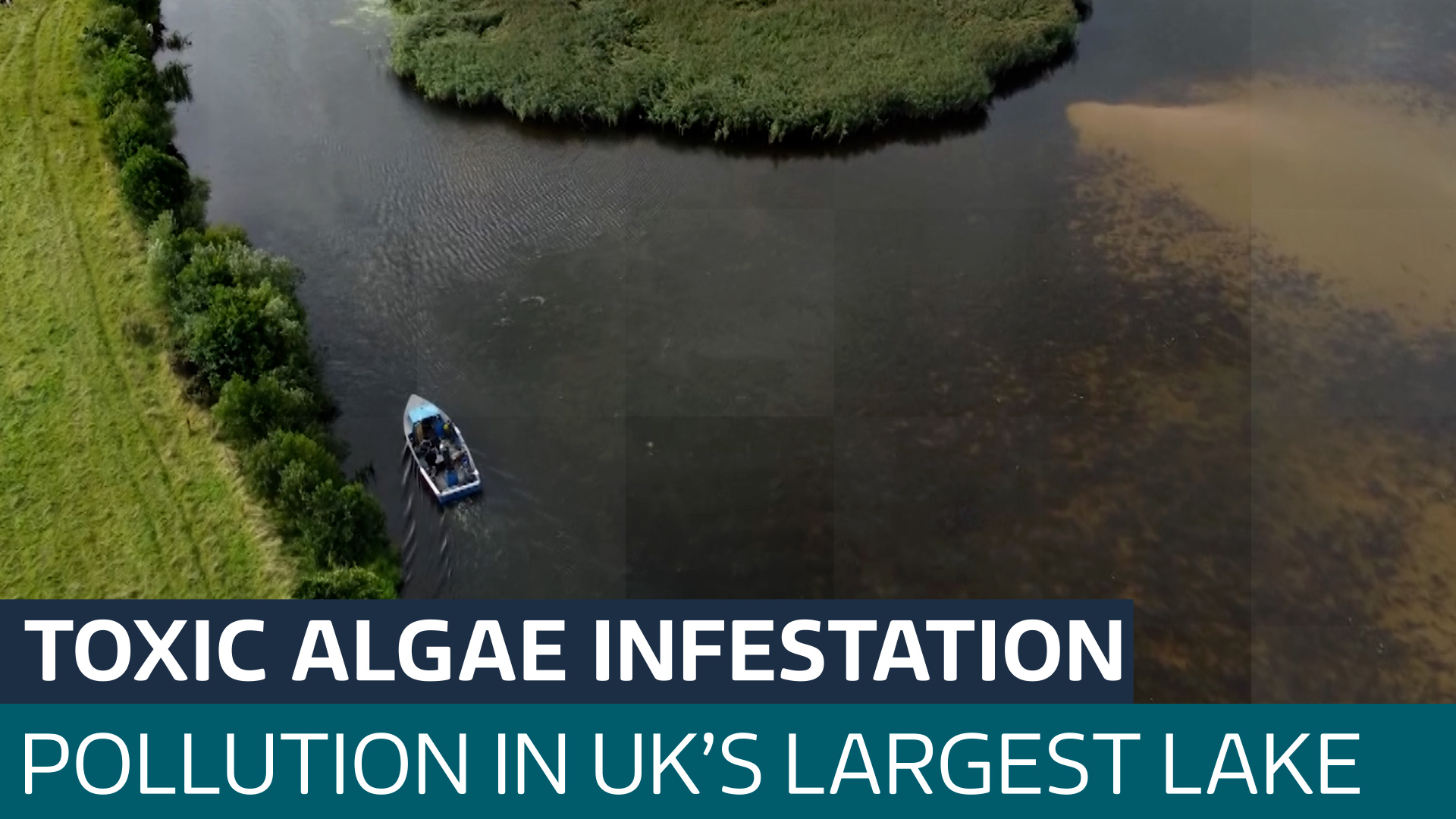 Pollution and climate change leaves UK lake infested with toxic blue ...