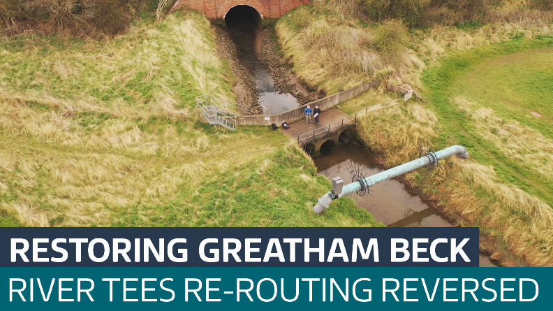 Work starts to restore Greatham Beck's traditional river course after ...