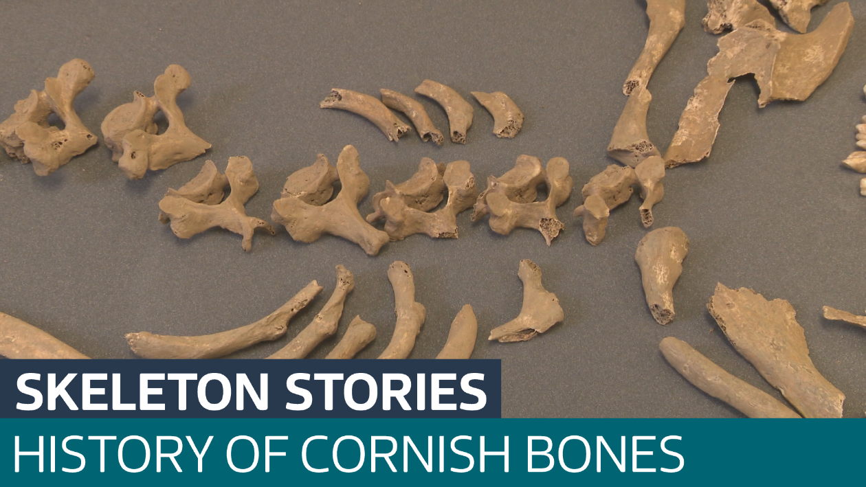 Archeologists make fascinating discoveries about bones found on Cornish ...