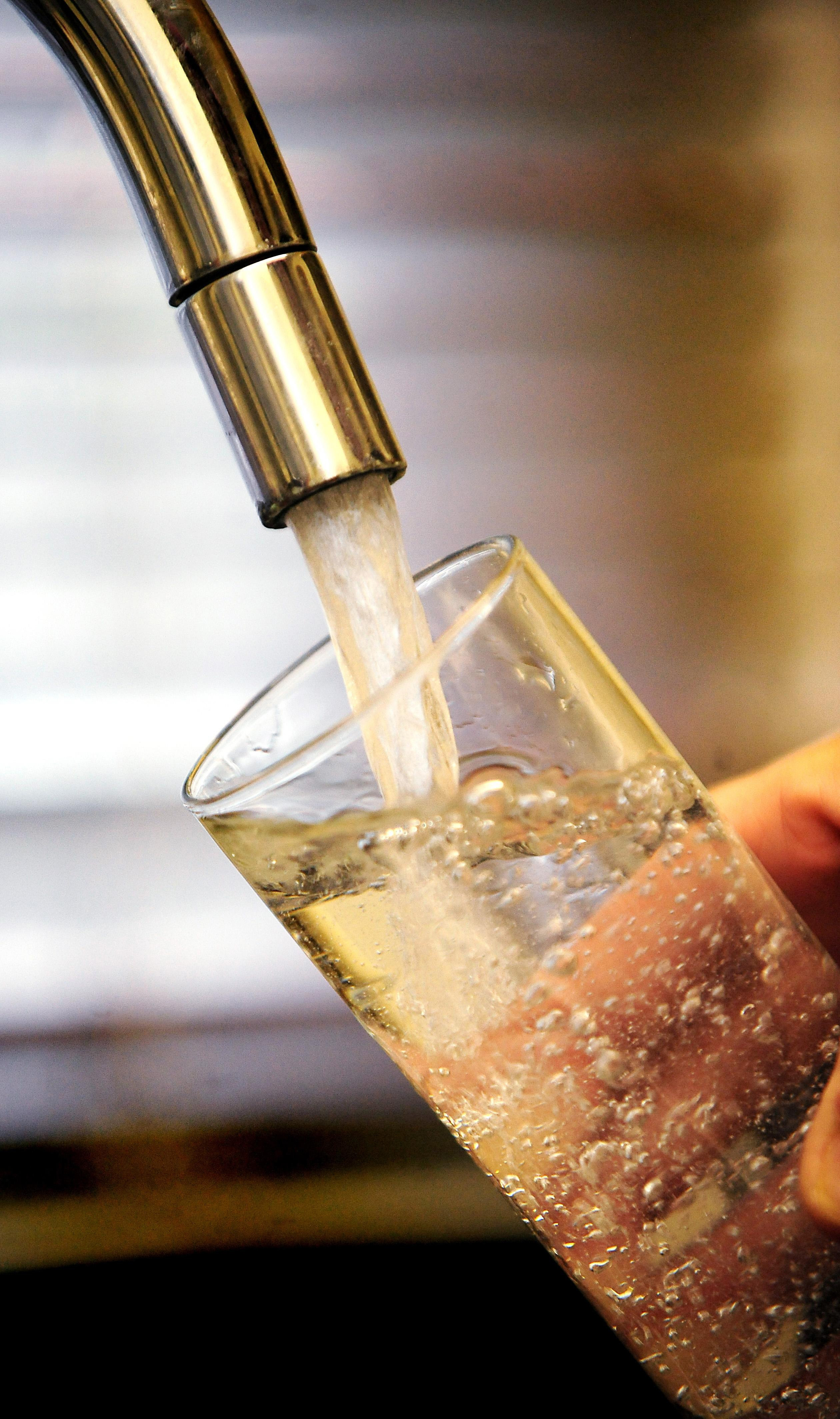 Councils need to make more farm inspections to improve water quality ...