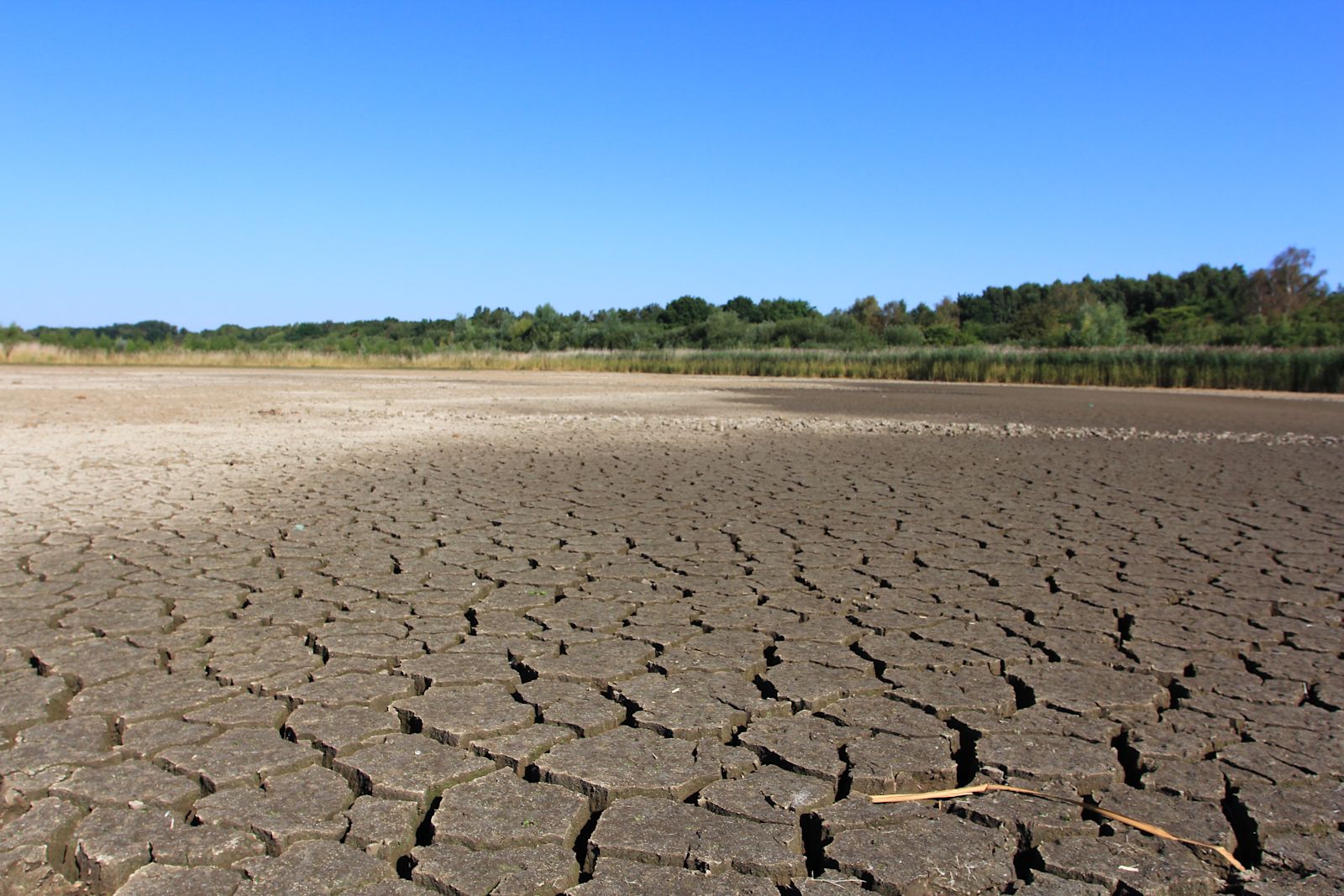 what does drought warning mean