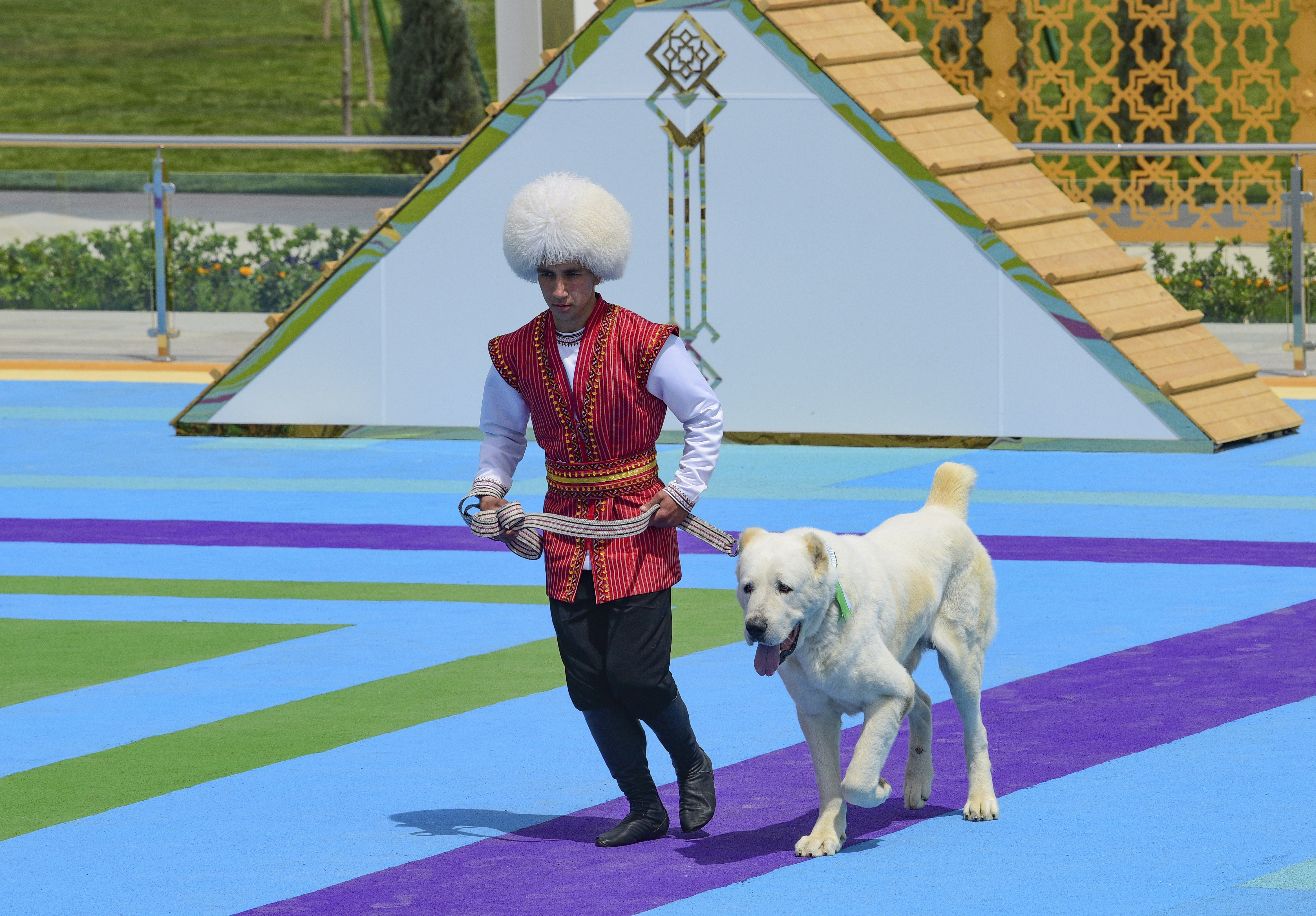 Turkmenistan marks state holiday honouring its native dog breed | ITV News
