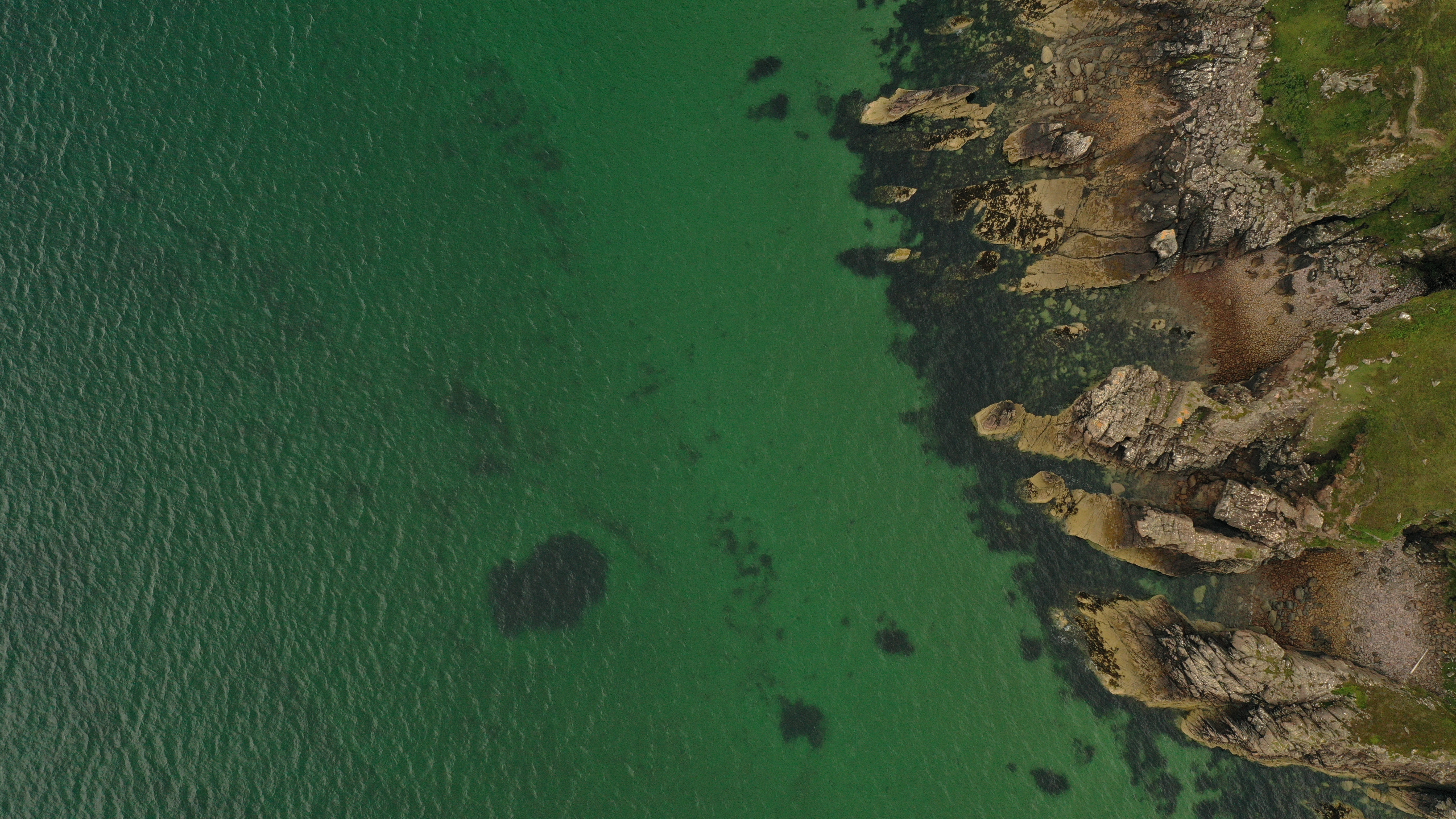 Marine conservation group claims damage to seabeds is a ‘national ...