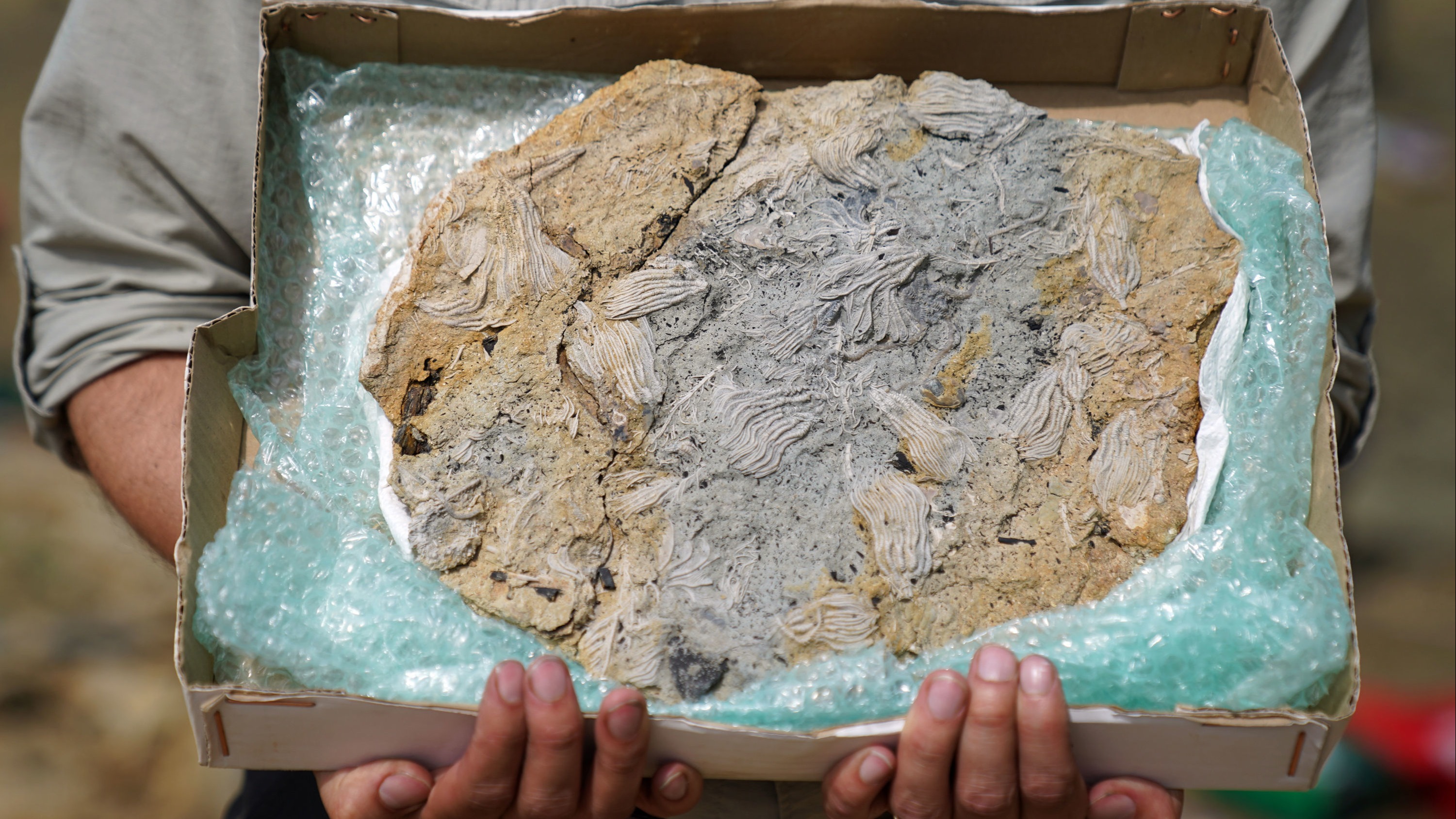 Couple discover Wiltshire site with one of the largest collections of ...