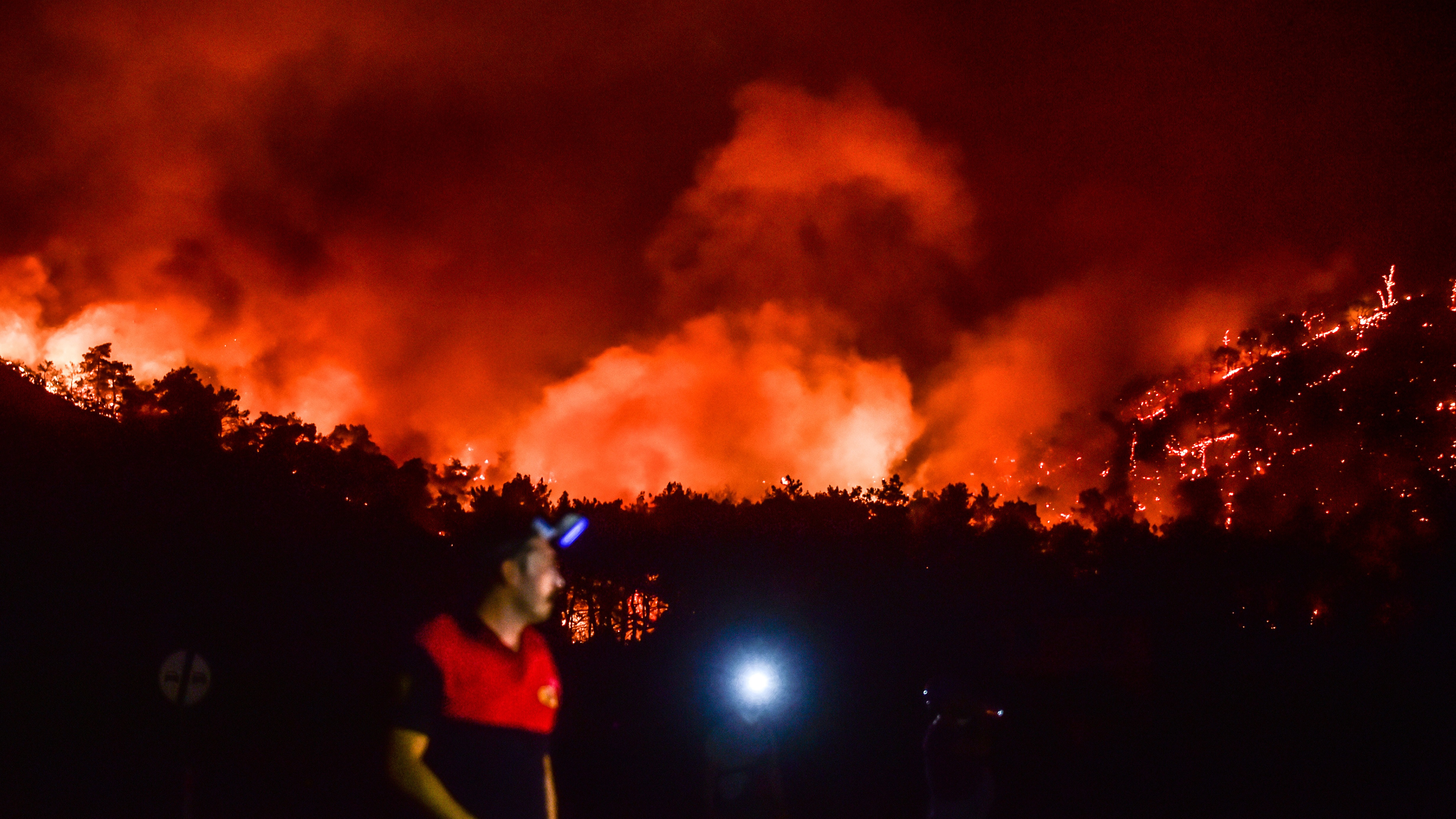Turkey: Anger grows at president Erdogan's response to deadly wildfires ...