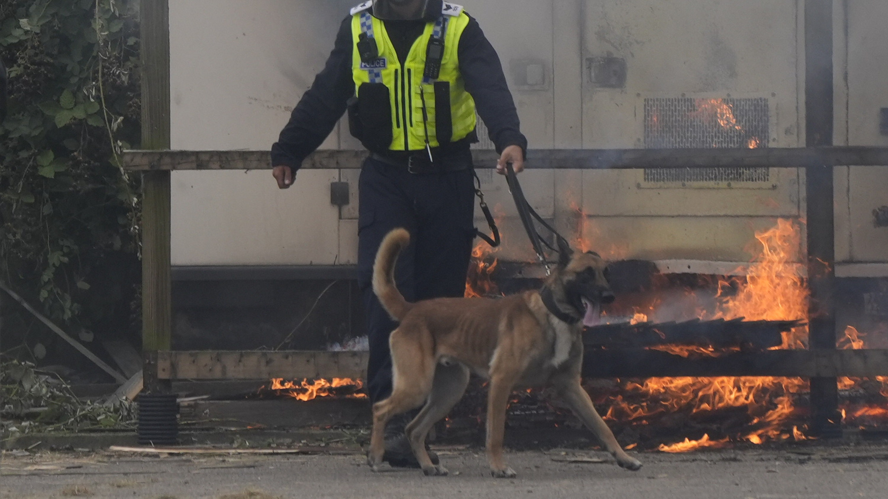 Police dogs should be phased out, Peta tells Met commissioner | ITV ...