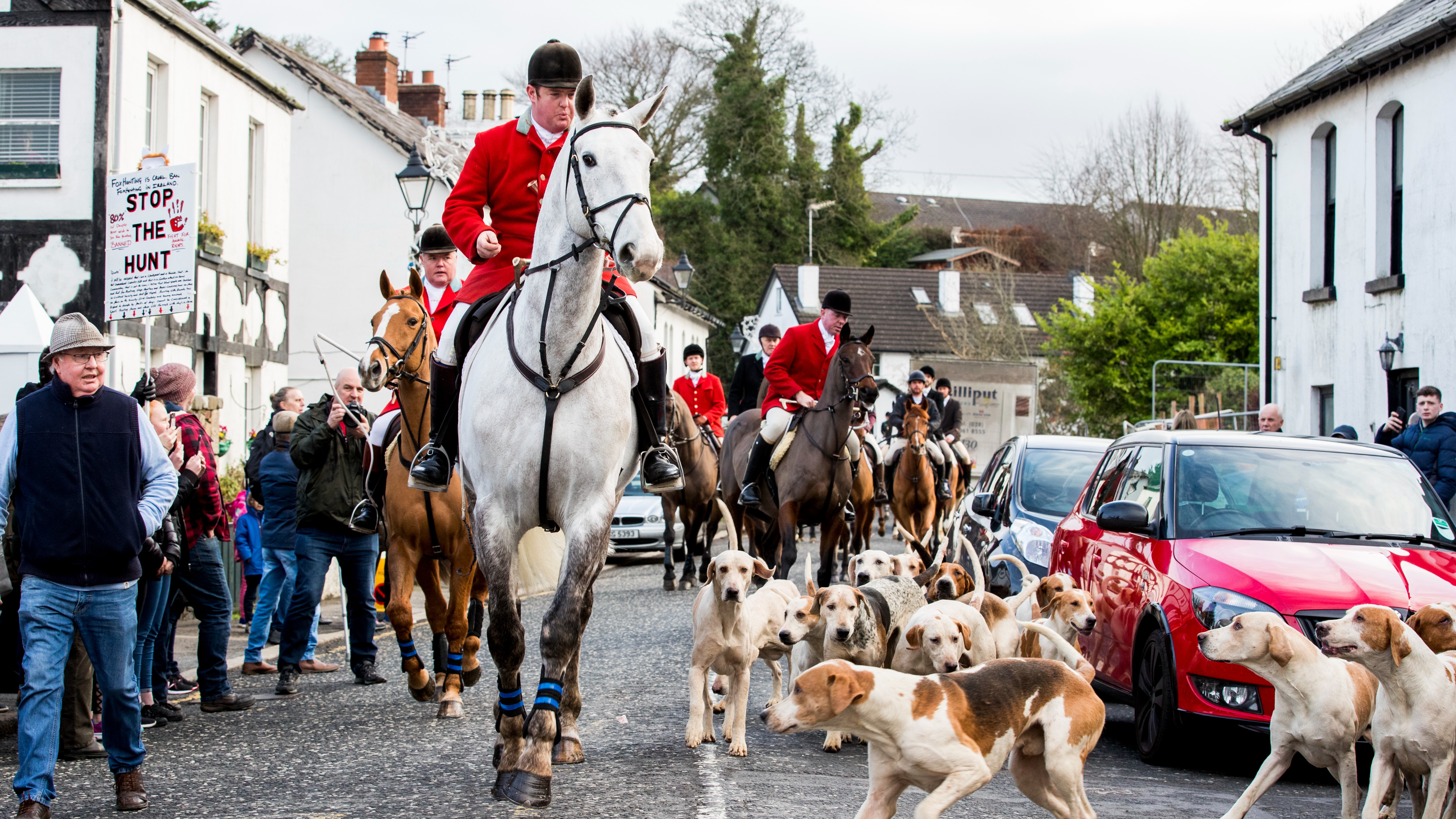 cornwall fox hunts