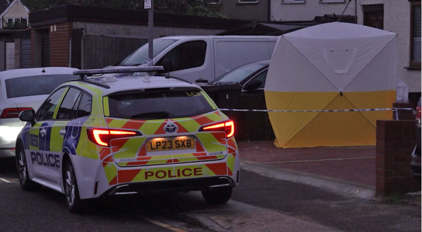 Man in custody after woman and two children stabbed in ‘shocking attack ...