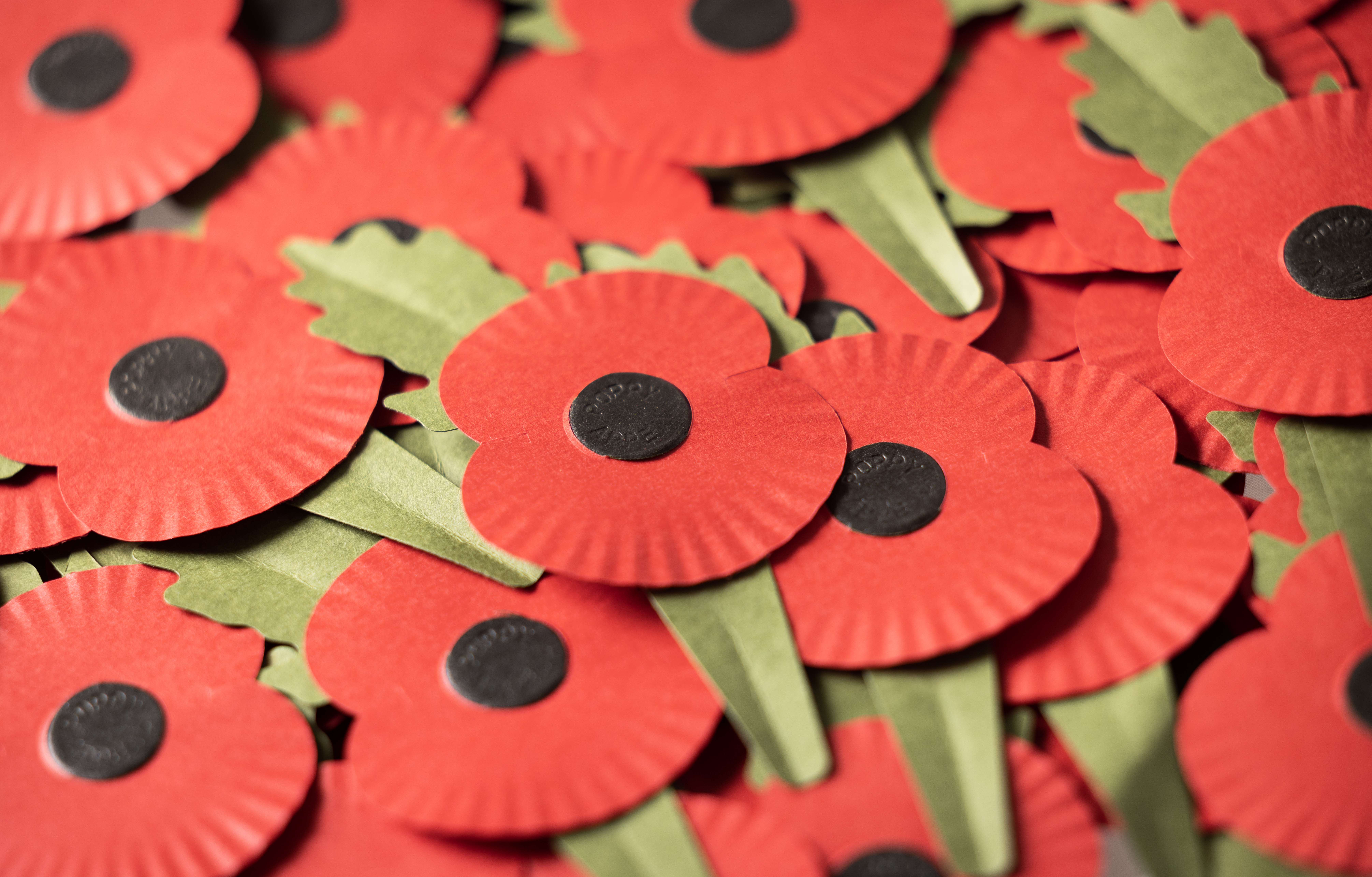 Stormont act of Remembrance one of many which took place across ...