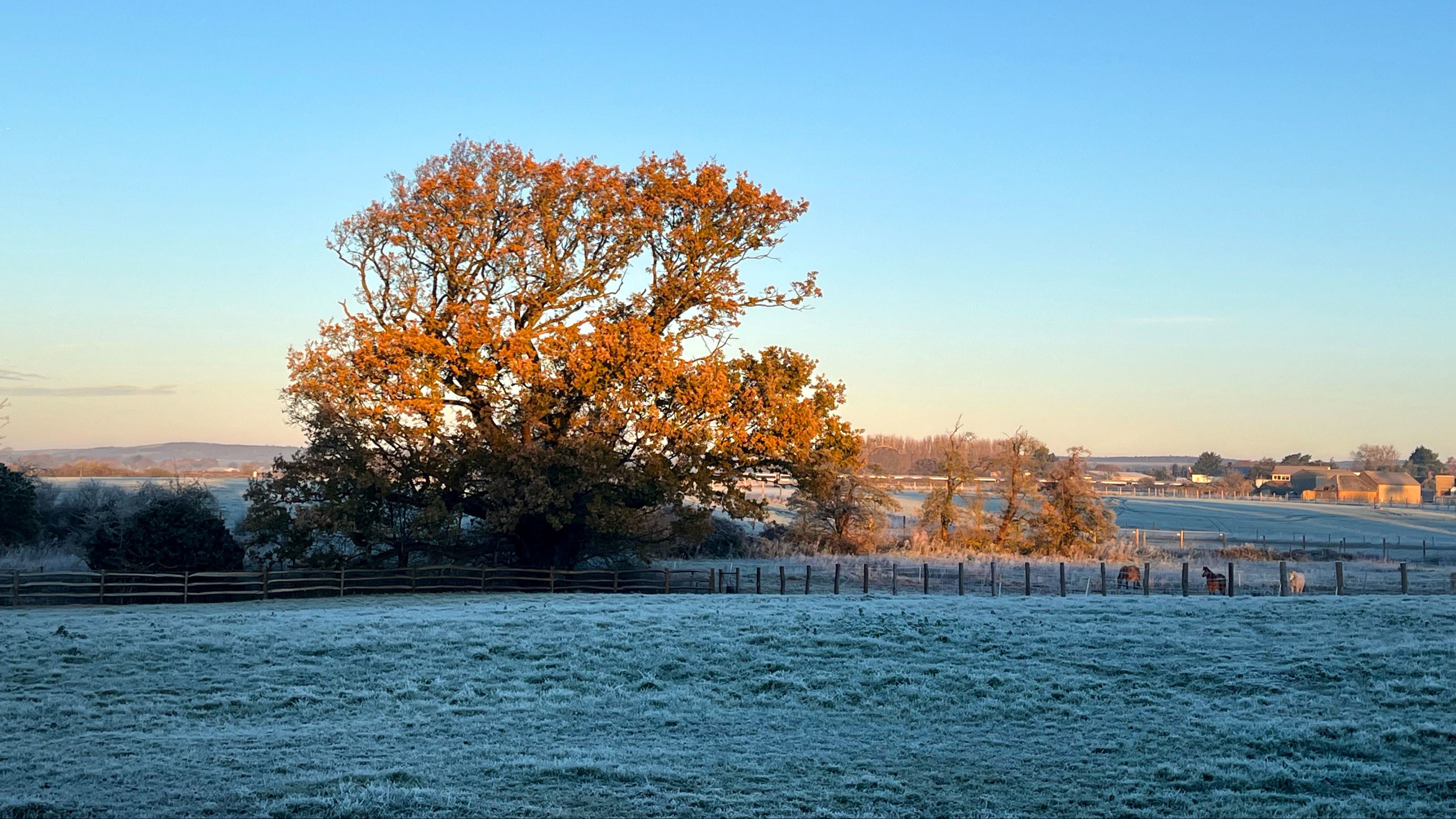 ‘Very chilly’ after overnight temperatures fall below zero as autumn ...