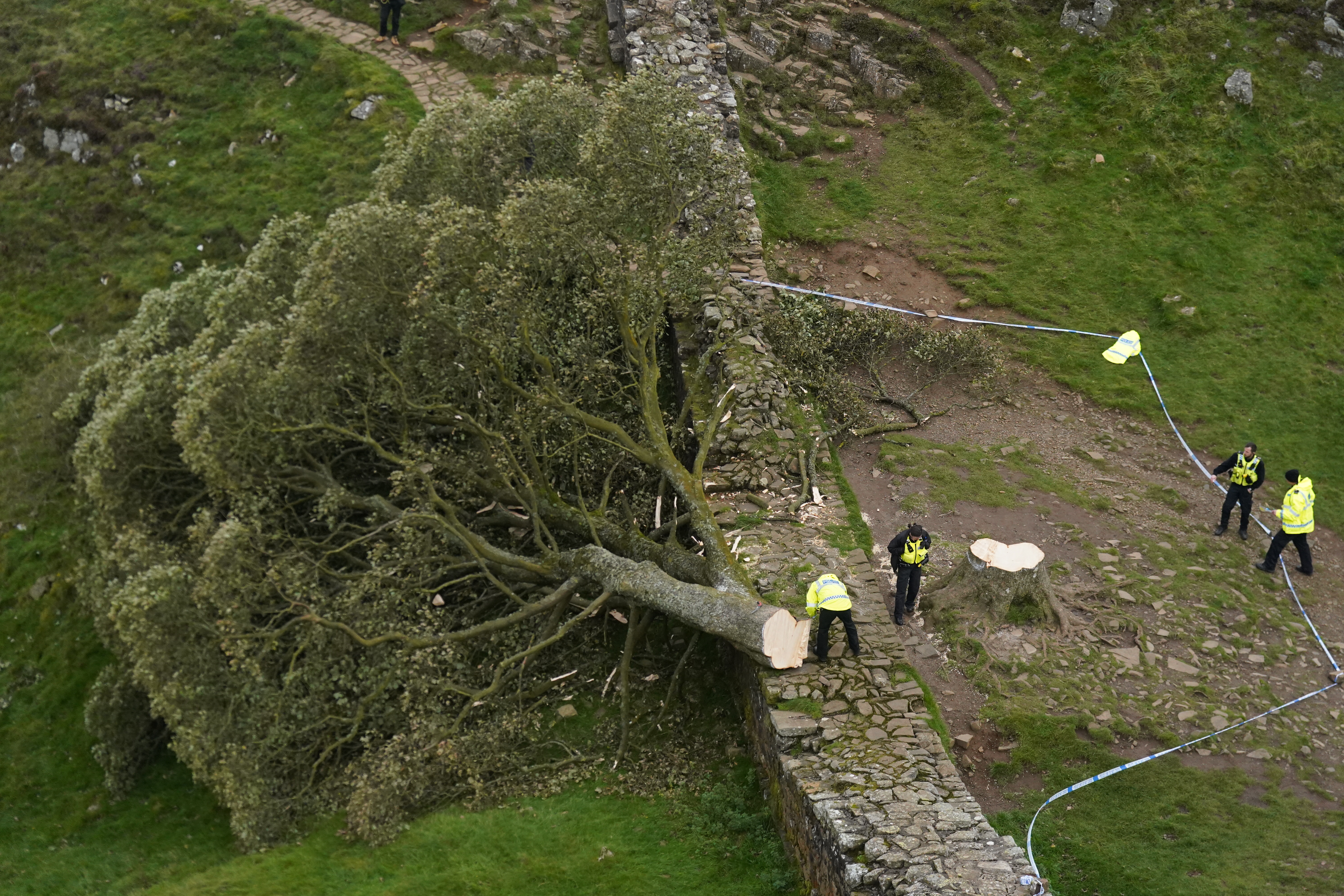 Two men in court over Sycamore Gap tree felling | ITV News