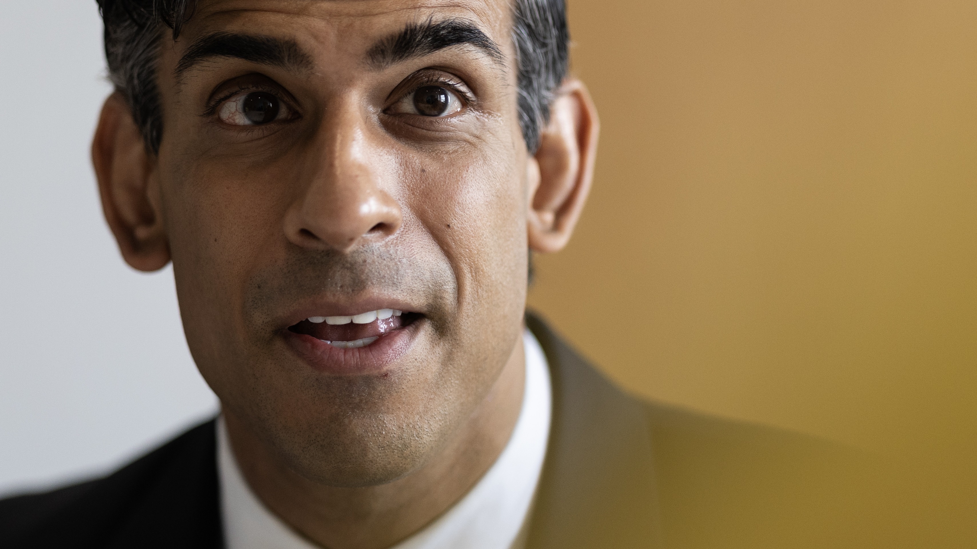 Tory MPs urge Rishi Sunak to drastically cut immigration ahead of next ...