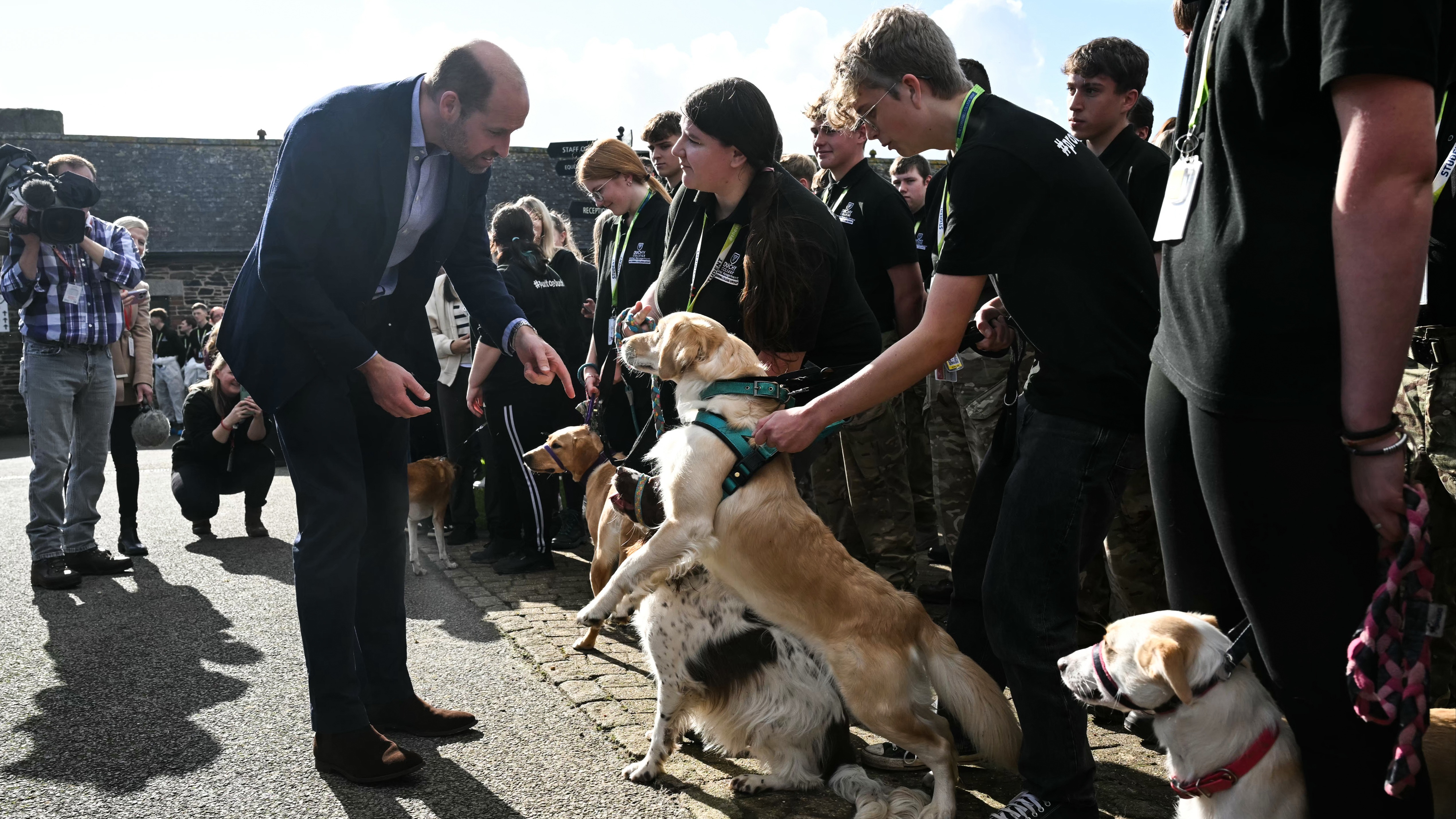 Moment excitable Labrador jumps up to greet Prince William during ...