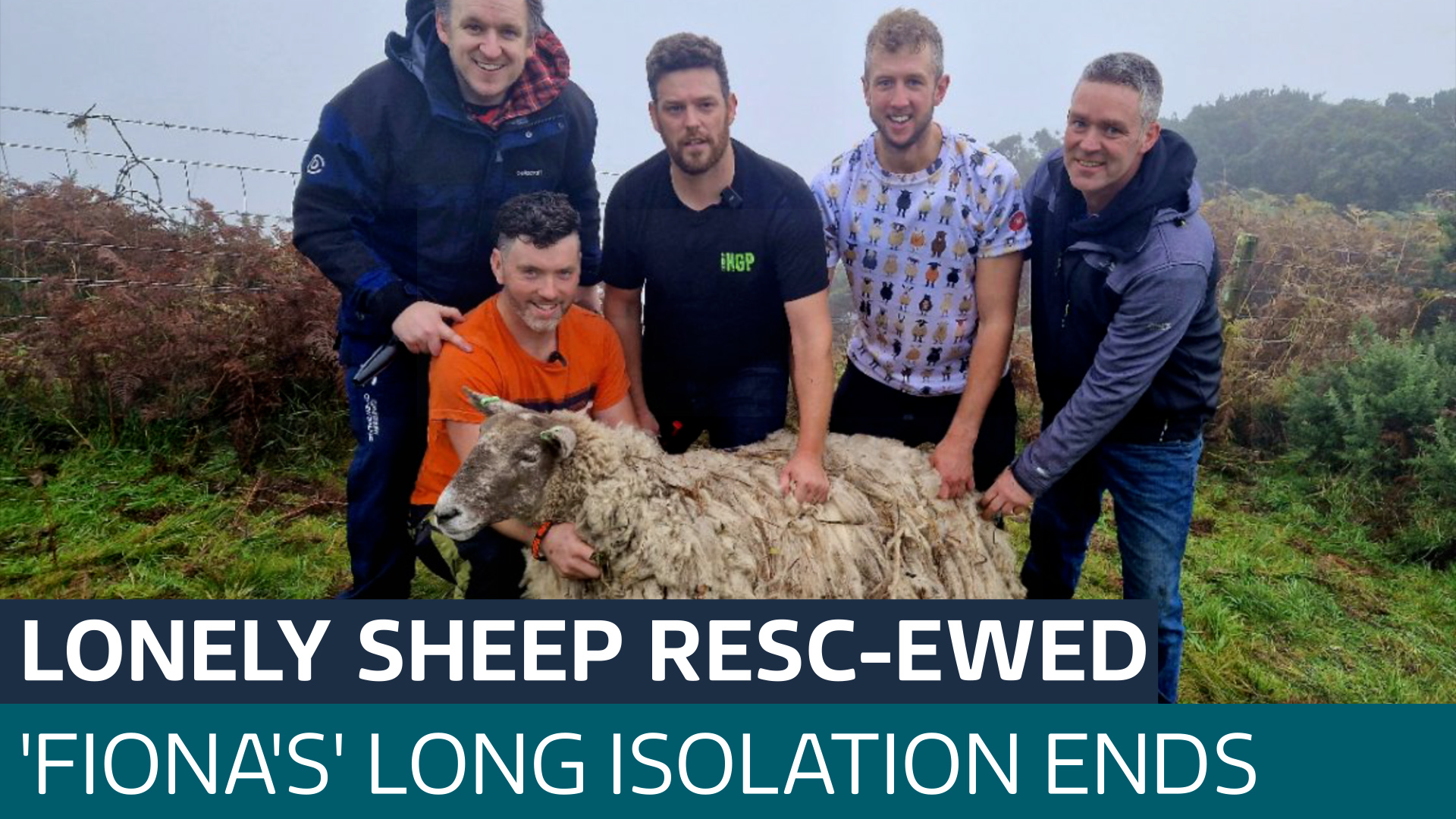 'Britain's loneliest sheep' rescued from isolation at bottom of cliffs ...