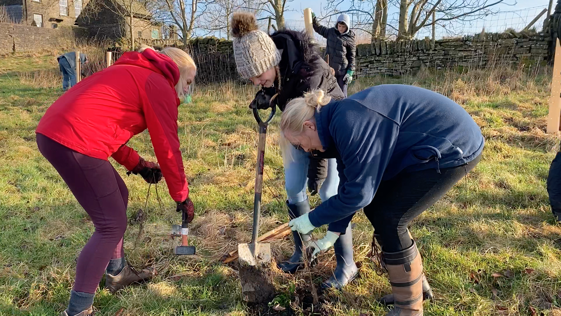 Pledge to plant - volunteers start planting a tree for every child in ...