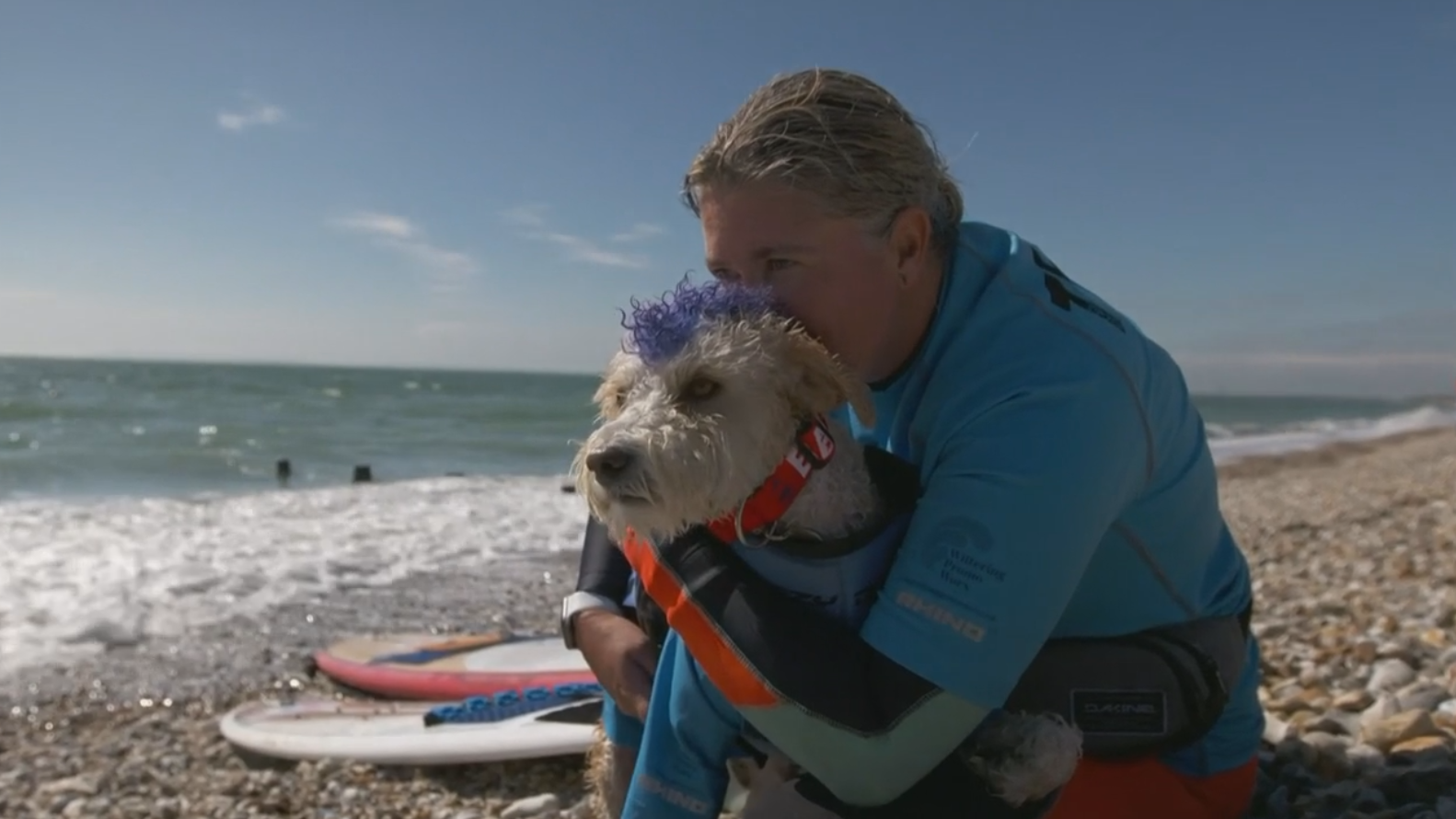 Surfing dog hopes to win big at wave riding competition | ITV News
