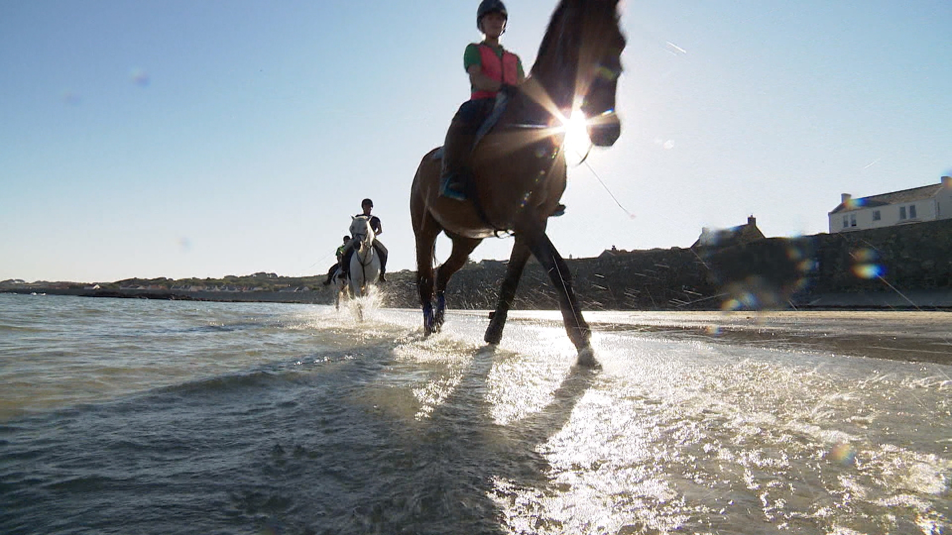 Fun in the Sun: Why horseback riding is a fun way to explore the ...