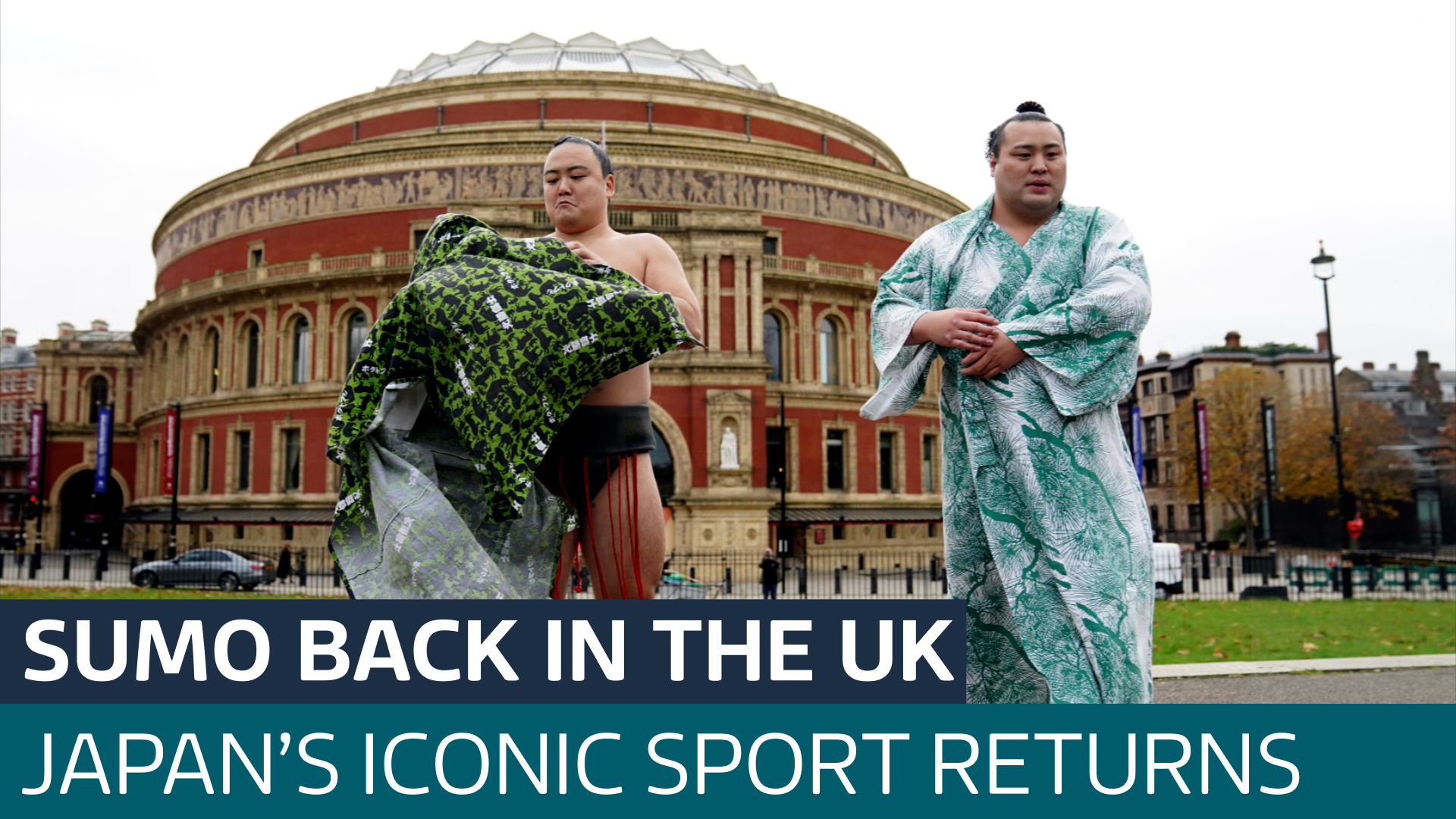 Fancy watching sumo wrestling in the historic Royal Albert Hall? Yes ...
