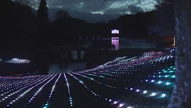 The countdown to Christmas has begun as Stourhead Christmas lights ...