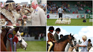Royal Welsh Show 2022 Is This Year s Event Going Ahead And What Royal Welsh Show 2022 Is This Year s Event Going Ahead And What