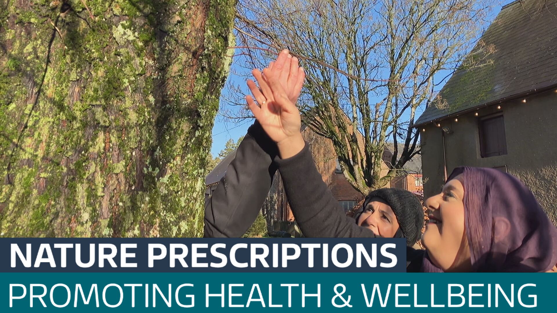 New 'nature prescription' service rolled out across Wales - Latest From ...