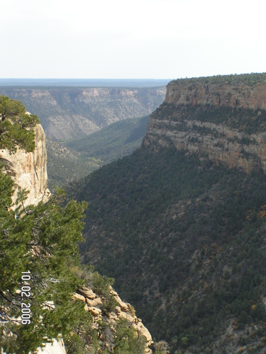 Colorado Unit 73 Unit Profile // GOHUNT. The Hunting Company