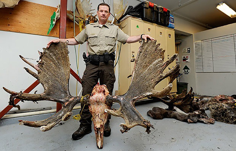 Wasted meat leads to serious penalties // GOHUNT. The Hunting Company