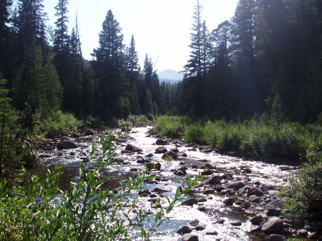 Montana Hunt District 280 Unit Profile // GOHUNT. The Hunting Company