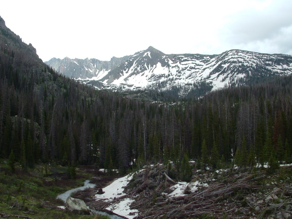 Colorado Unit S73 Unit Profile // GOHUNT. The Hunting Company